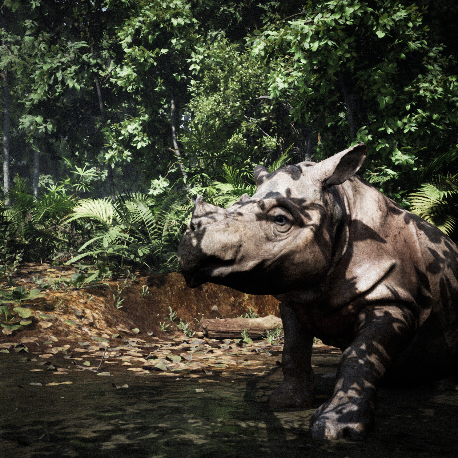ArtStation - Sumatran Rhino in Indonesian Rainforest.