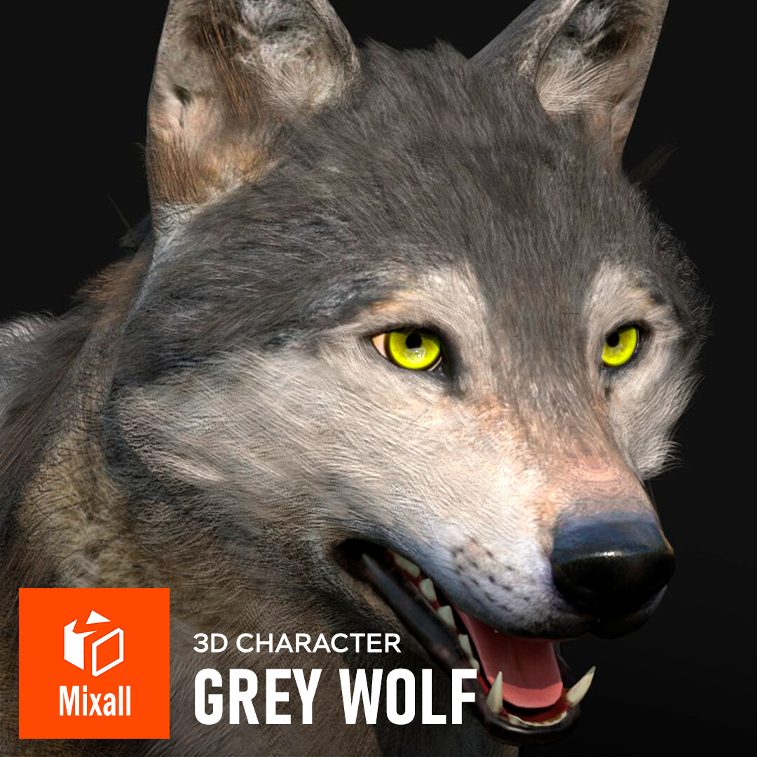 ArtStation - Grey Wolf