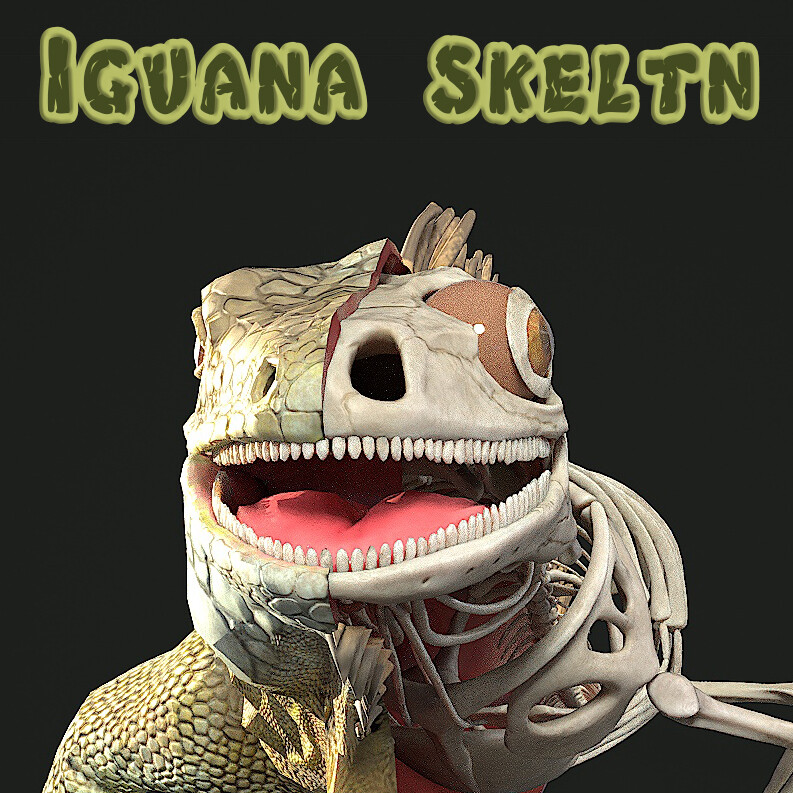 ArtStation - Iguana Skeleton