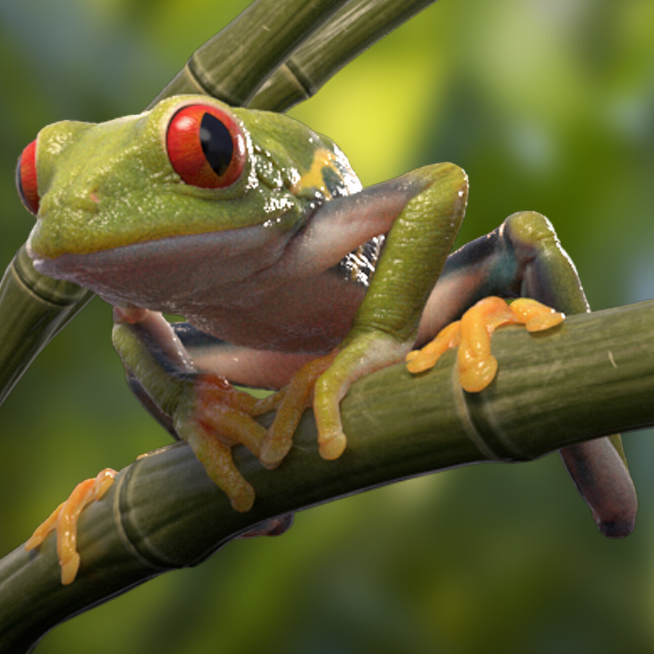 ArtStation - Some random animals