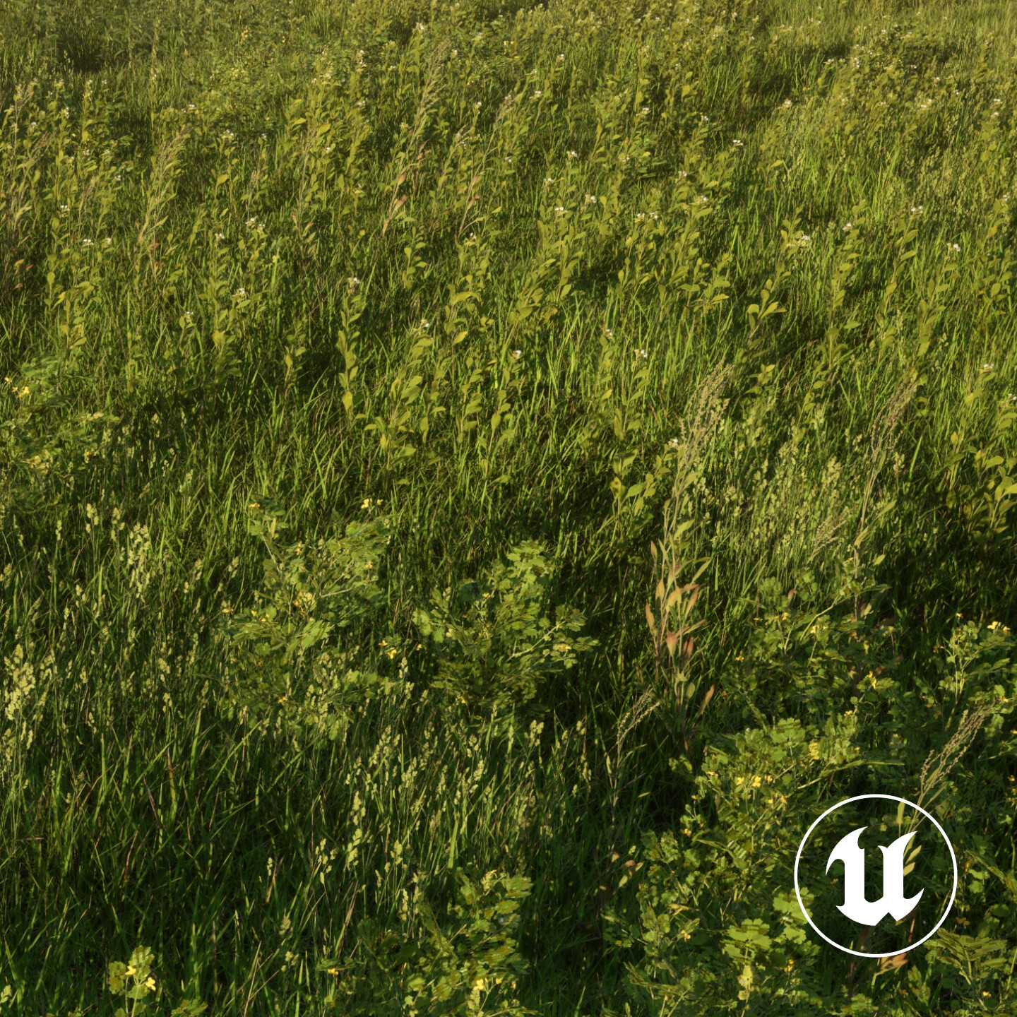 ArtStation - Real time interactive plants