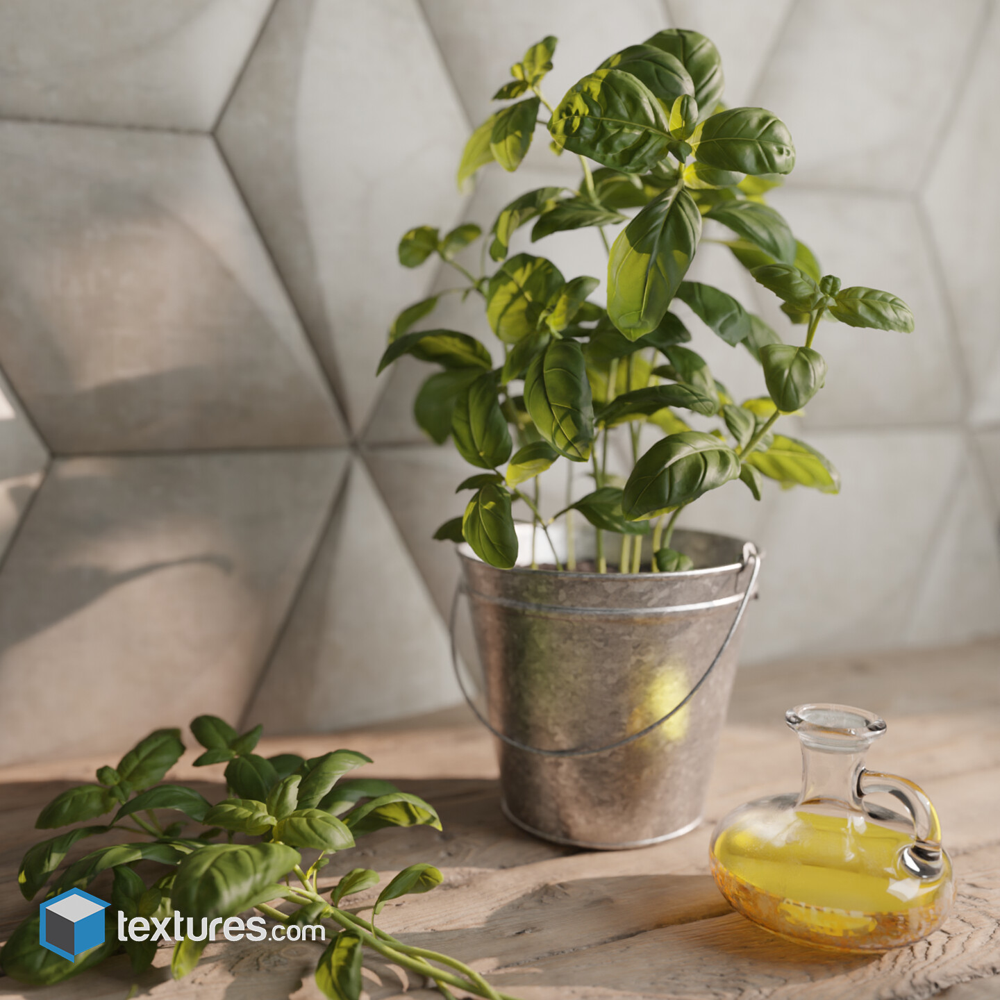 ArtStation - Basil 3D Plants - Textures.com