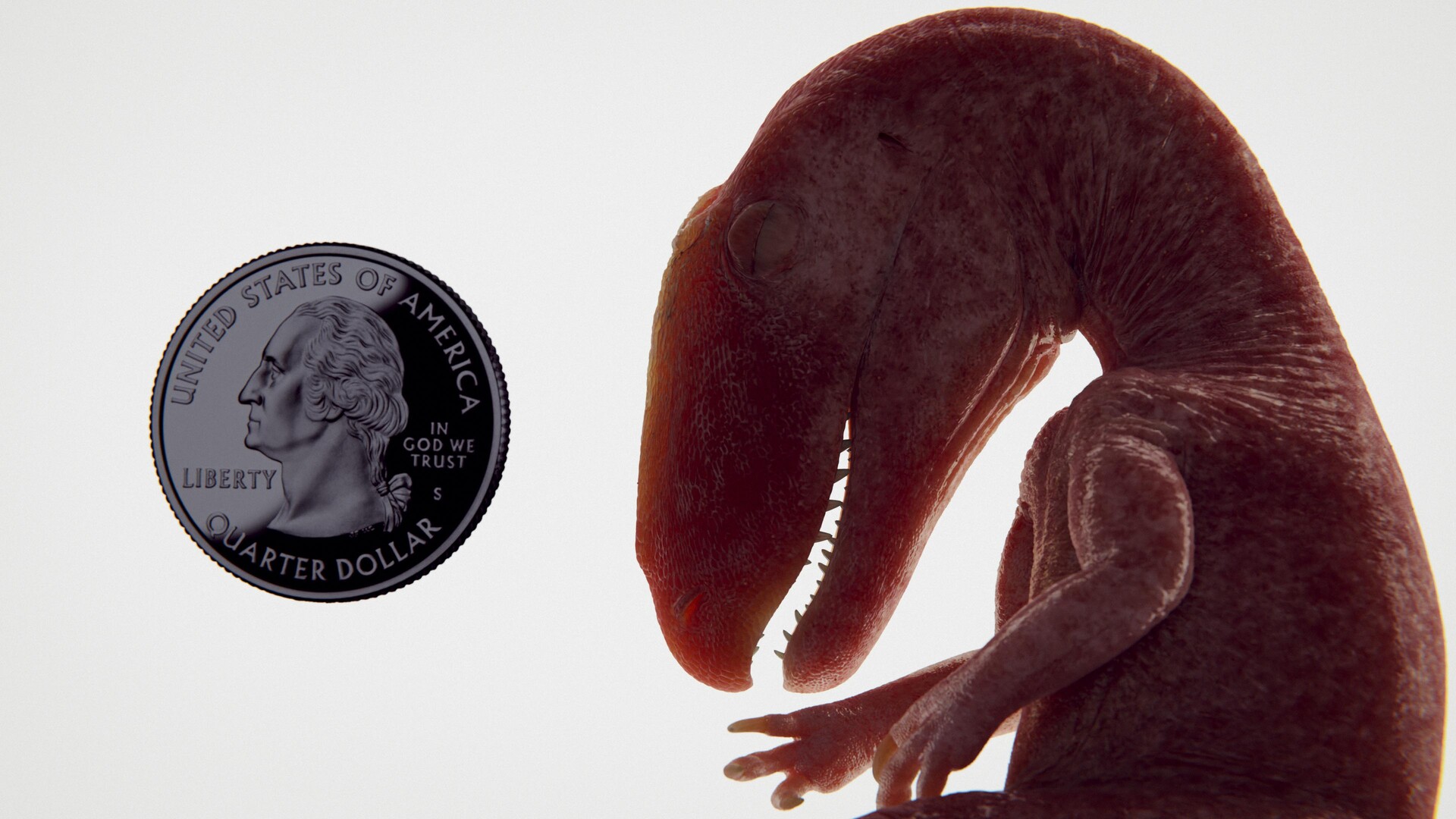 Jonathan Harris - Dilophosaurus Hatchling