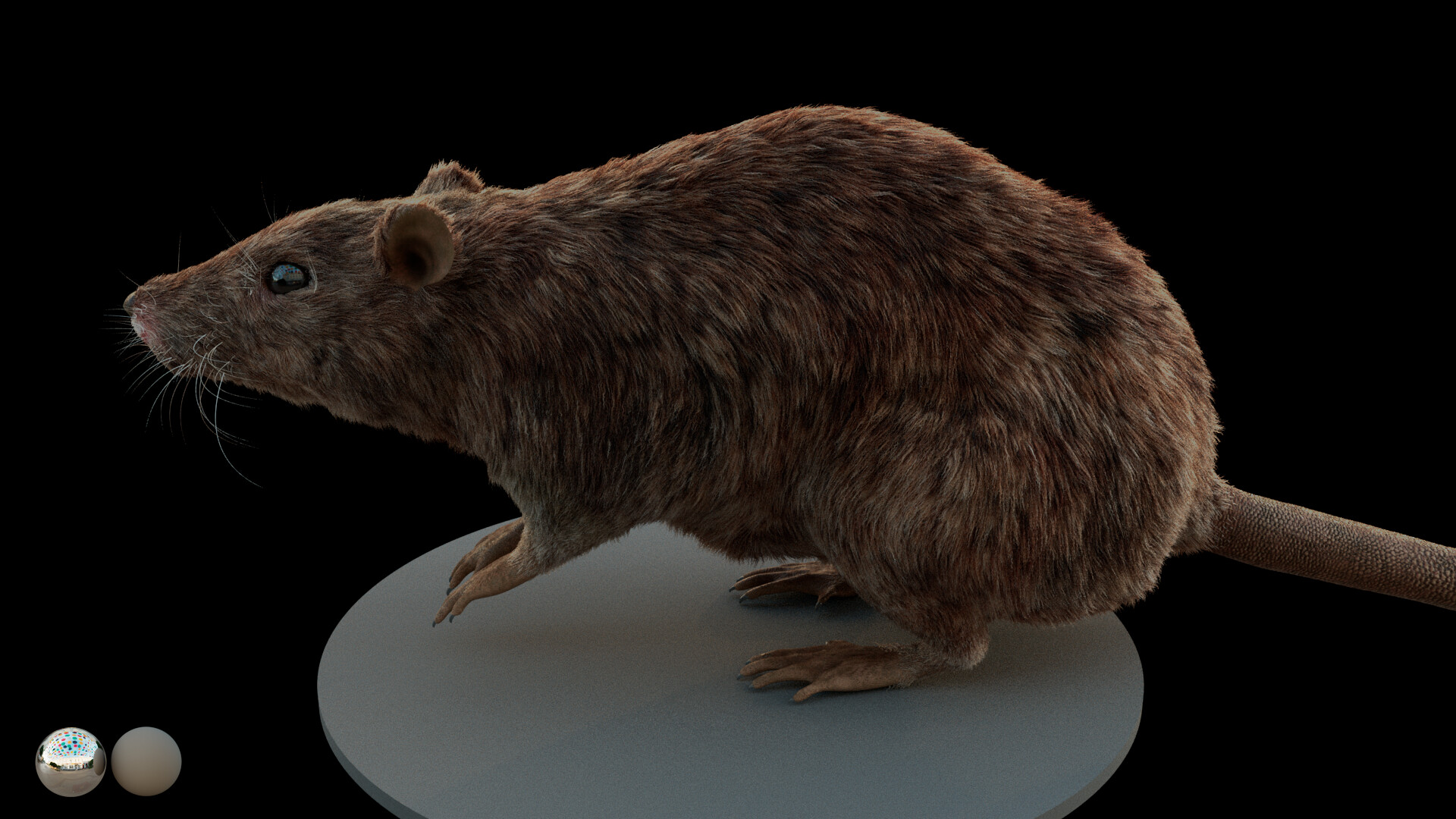 ArtStation - RAT_Turntable