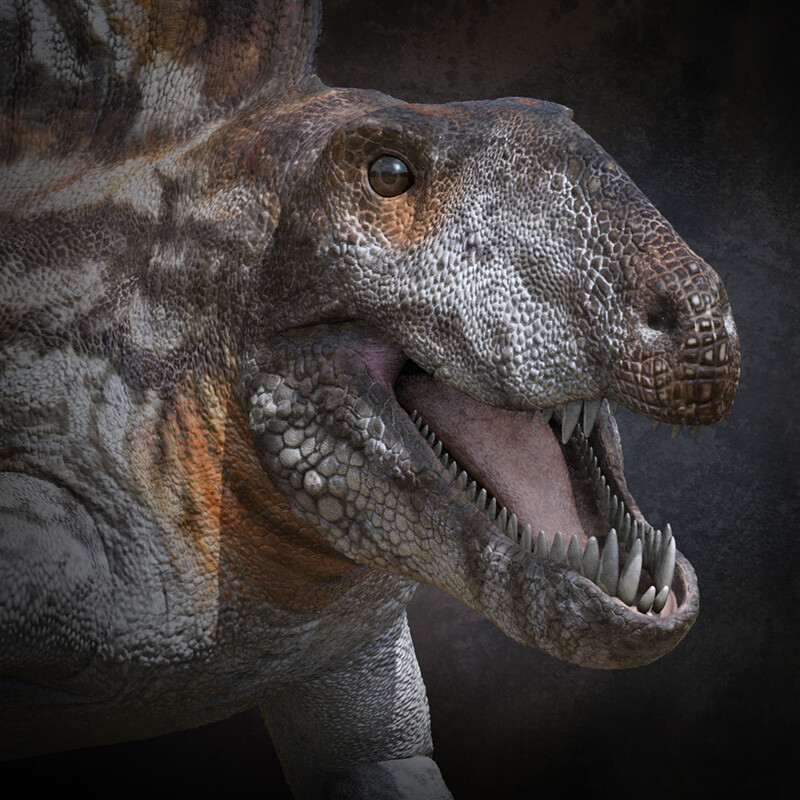 Cheung Chung Tat - Dimetrodon grandis