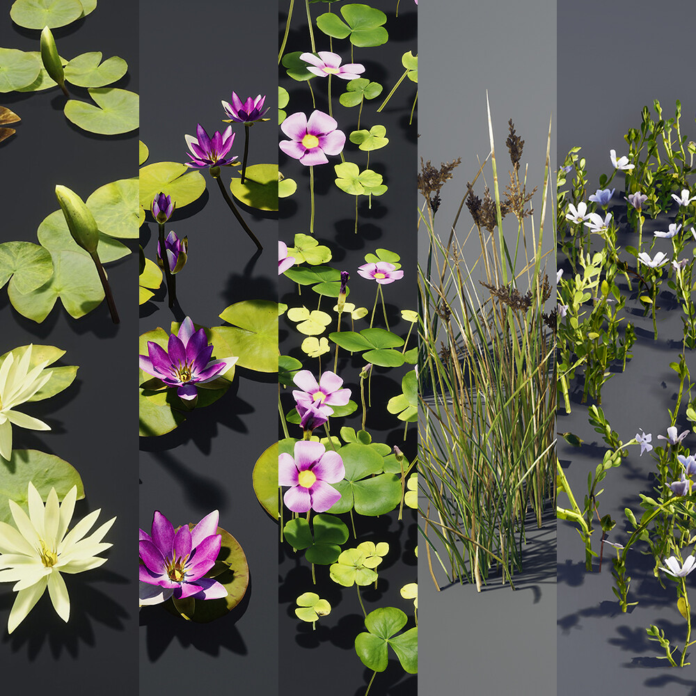 ArtStation - Megascans 3D Vegetation Vol. 6