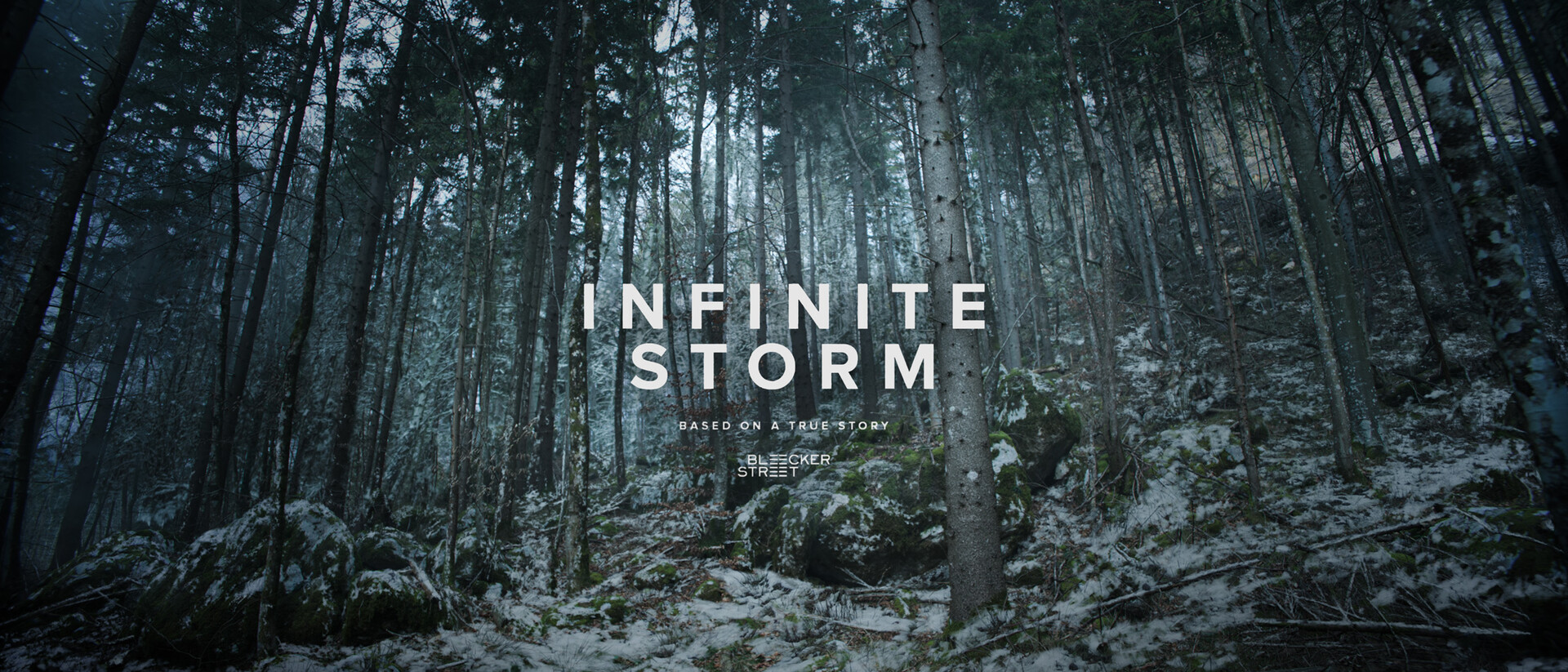 ArtStation - Infinite Storm | Forests