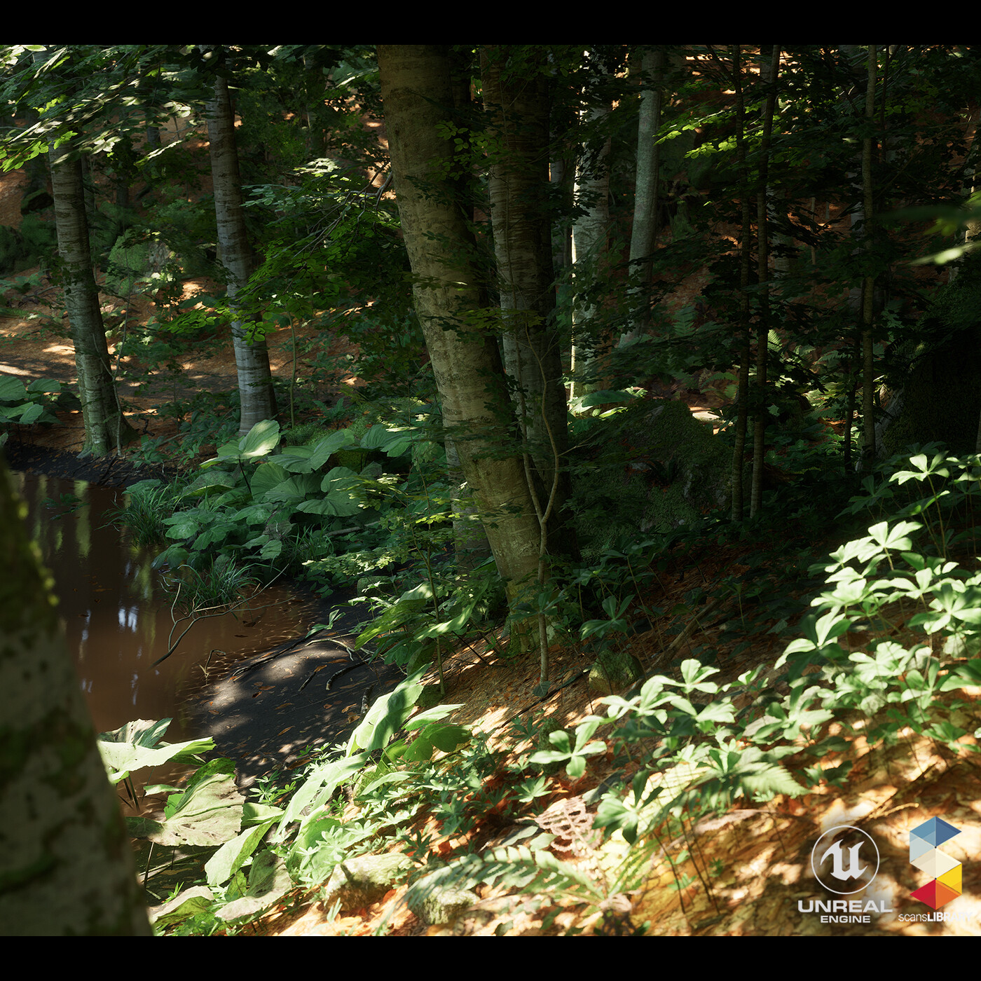 ArtStation - Beech Forest / UE5.1