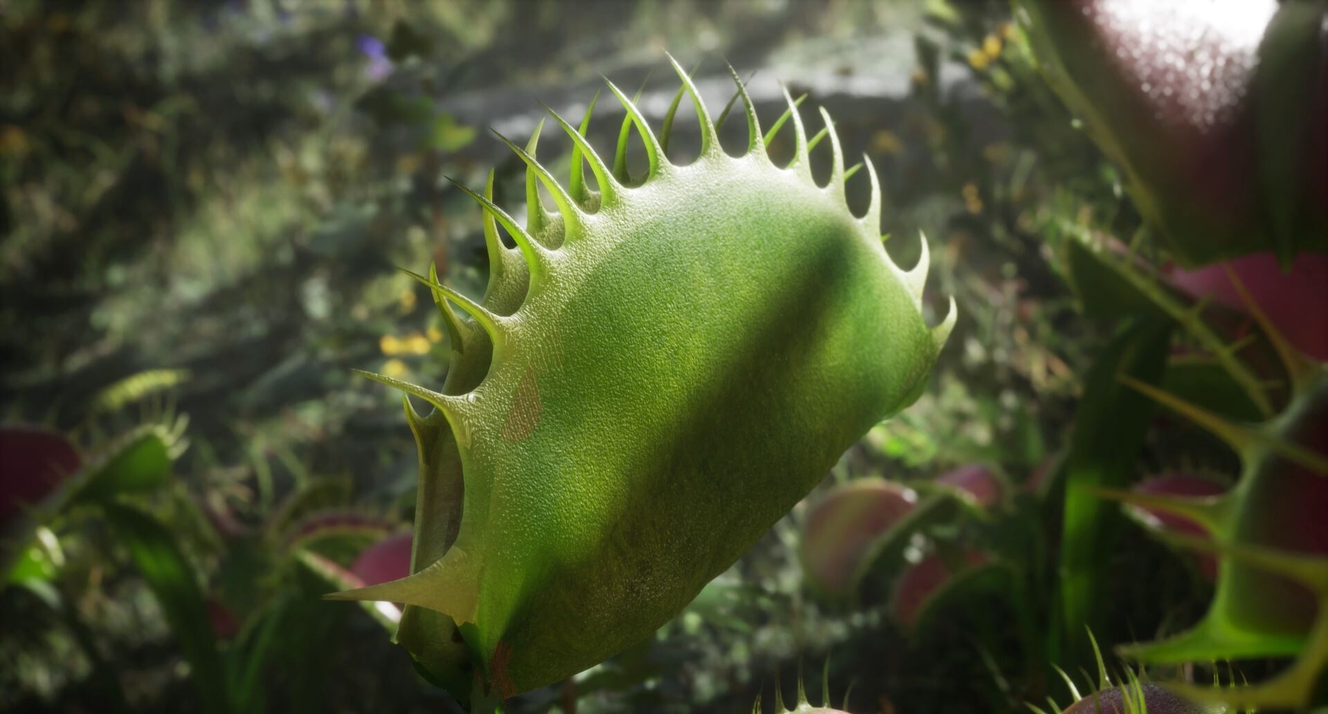 ArtStation - Venus_Flytrap