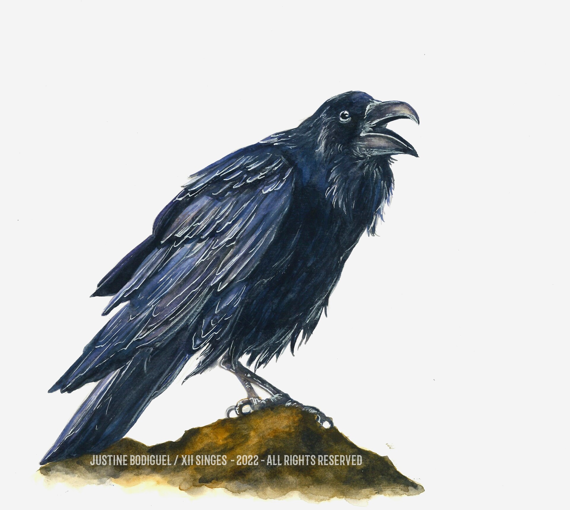 ArtStation - The crow