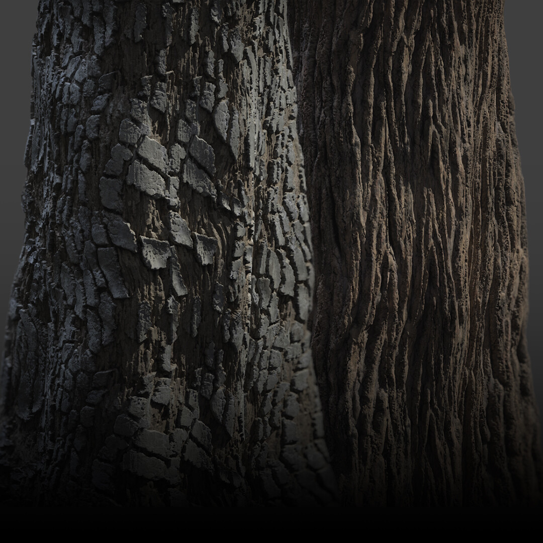 ArtStation - 11 High Detail Bark Material