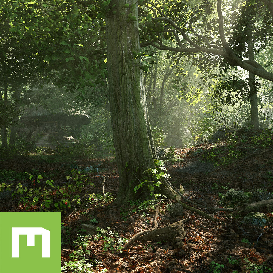 ArtStation - Megascans Trees: European Hornbeam