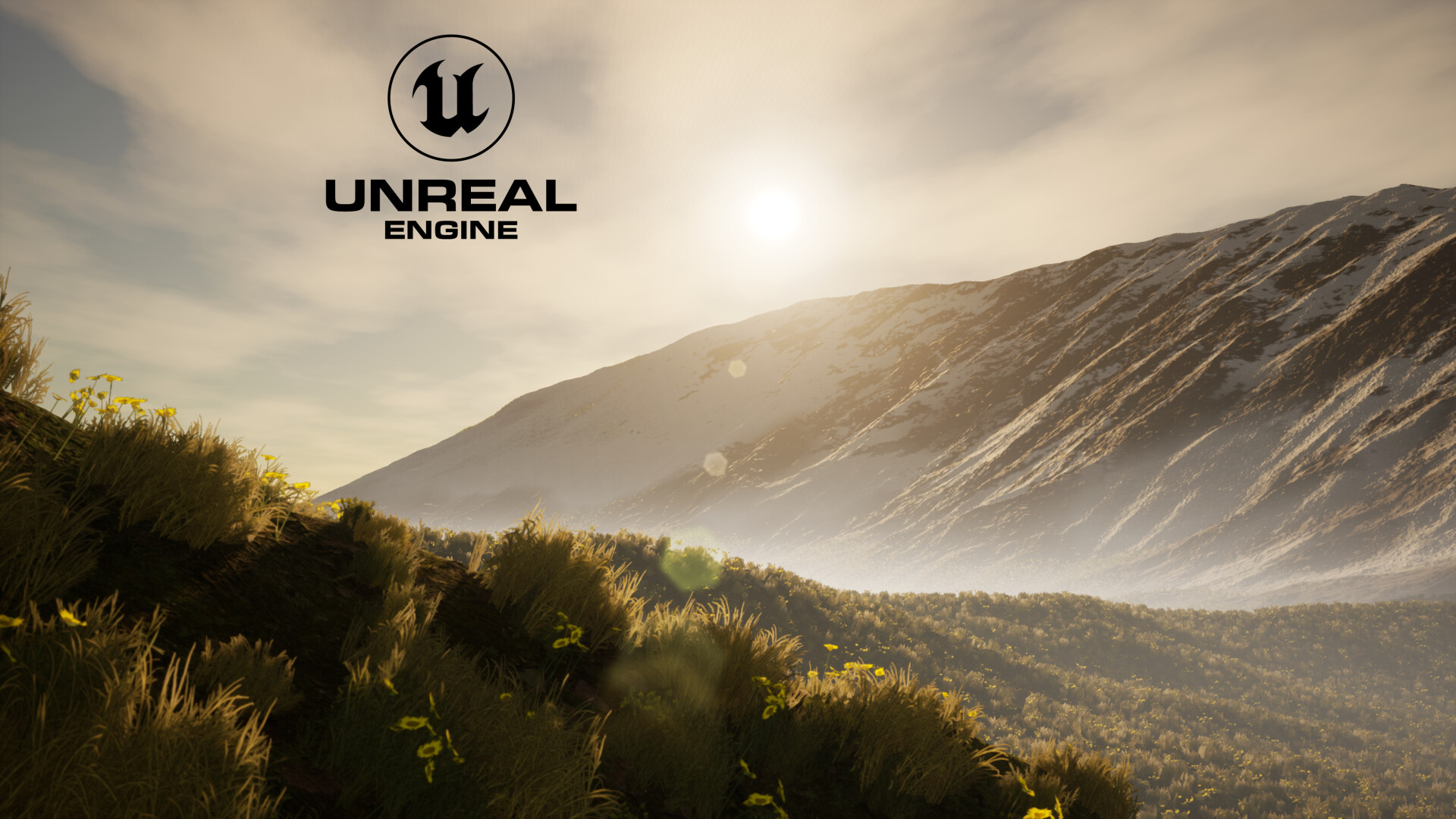 ArtStation - Landscape creation in Unreal Engine