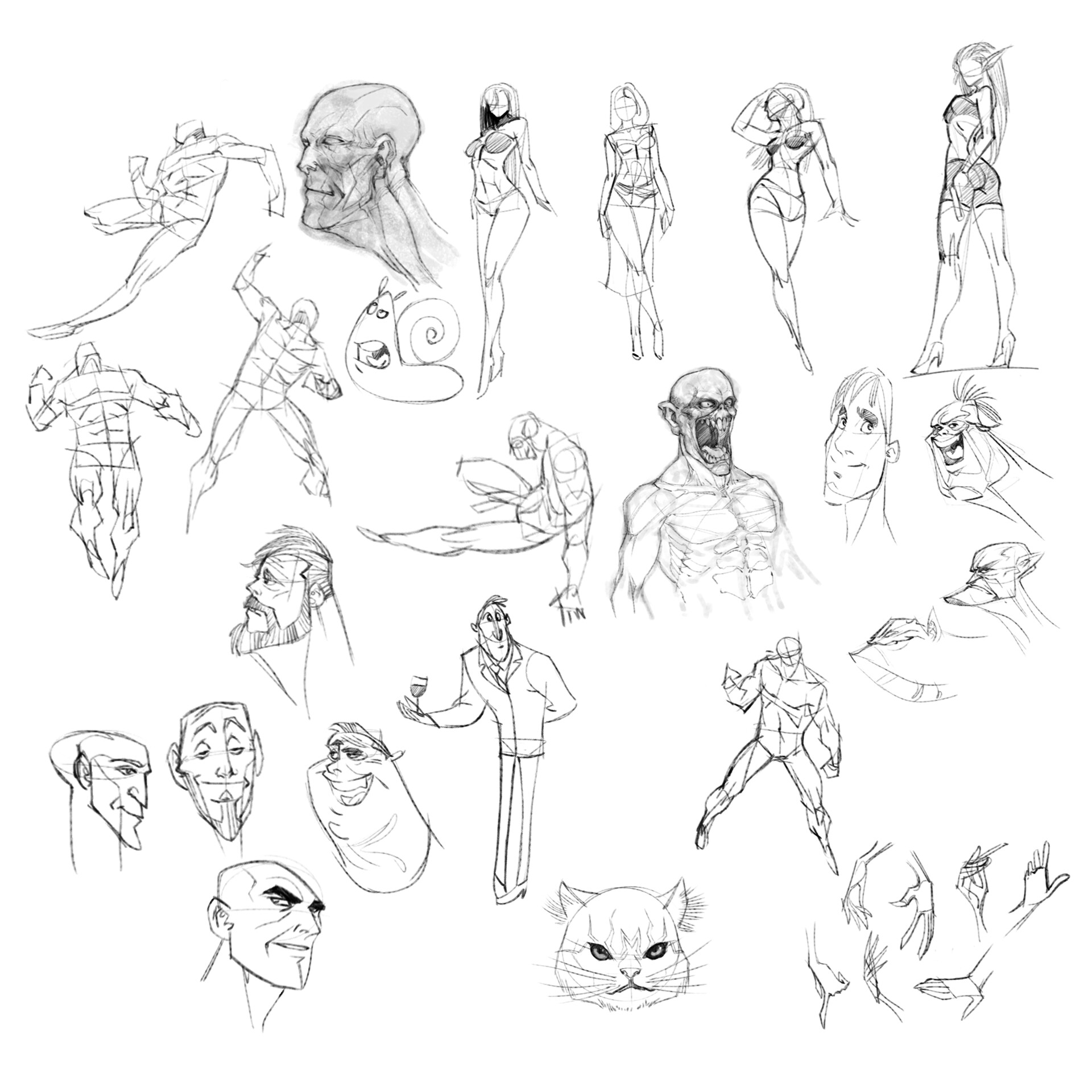 ArtStation - Rough Designs/Anatomy