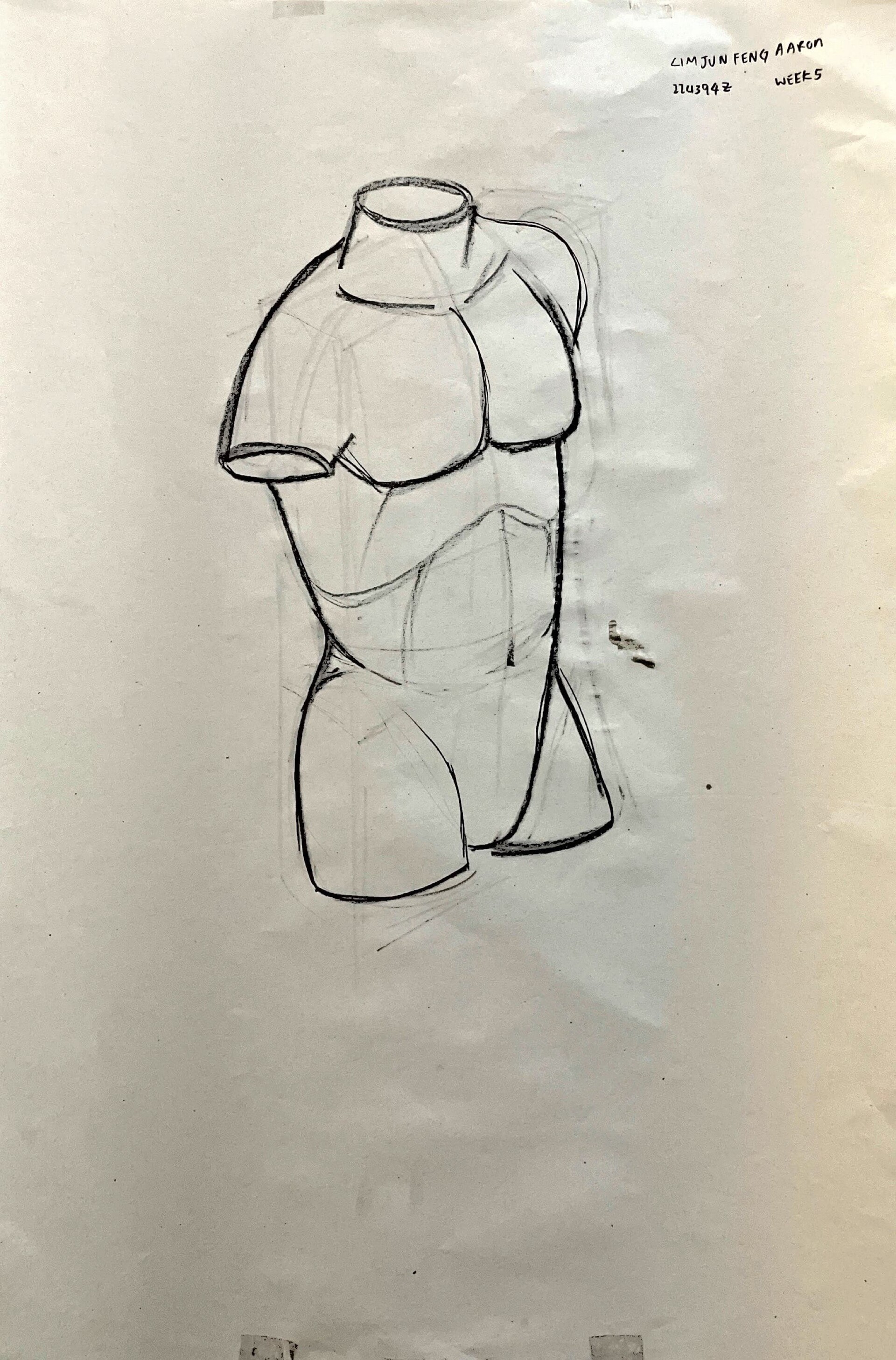 ArtStation - HUMAN TORSO STUDIES