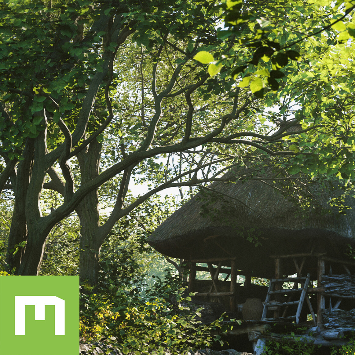 ArtStation - Megascans Trees: European Hornbeam