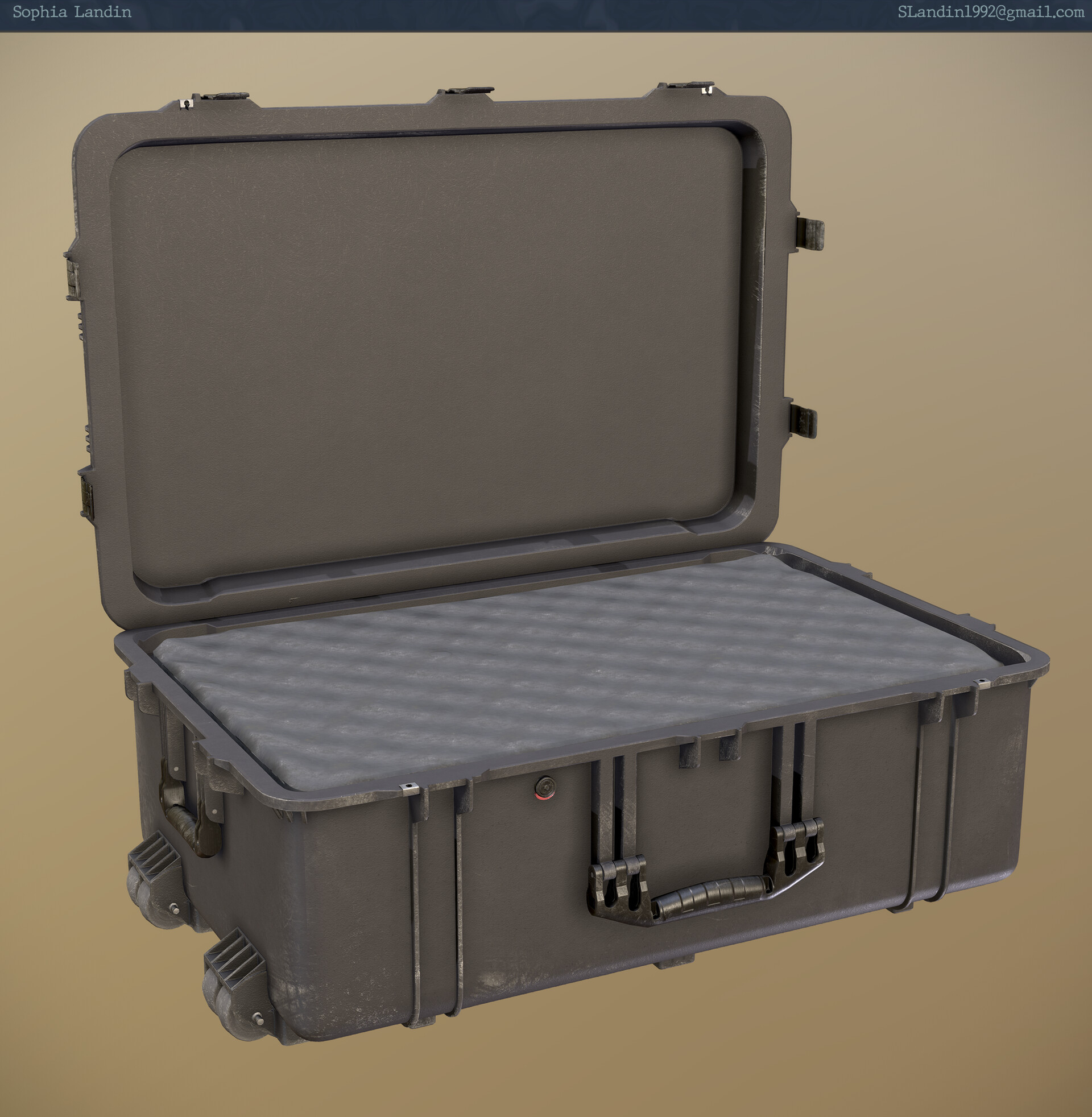 ArtStation - 1650 Pelican Case