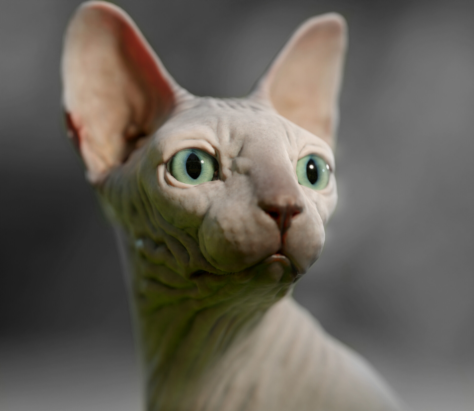 ArtStation - Sphynx Cat