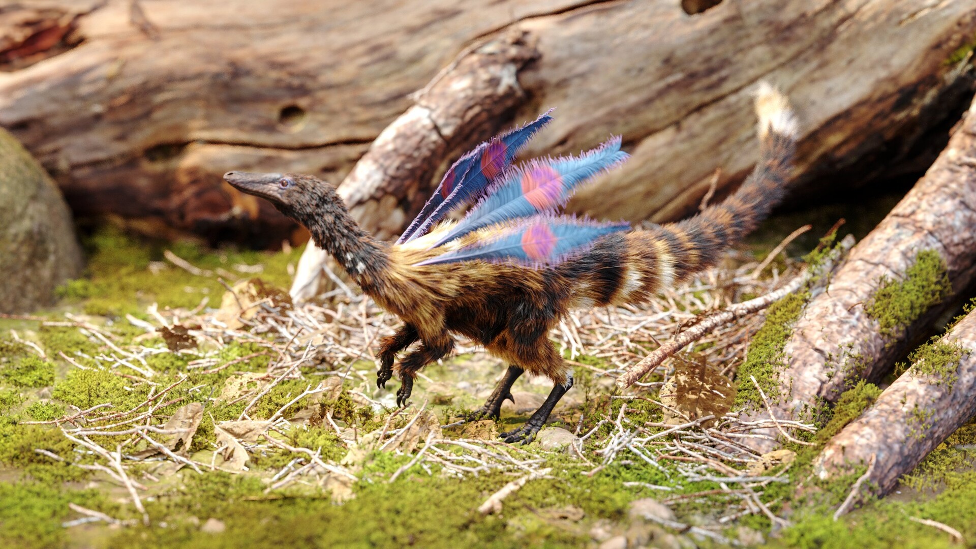 ArtStation - Ubirajara Jubatus