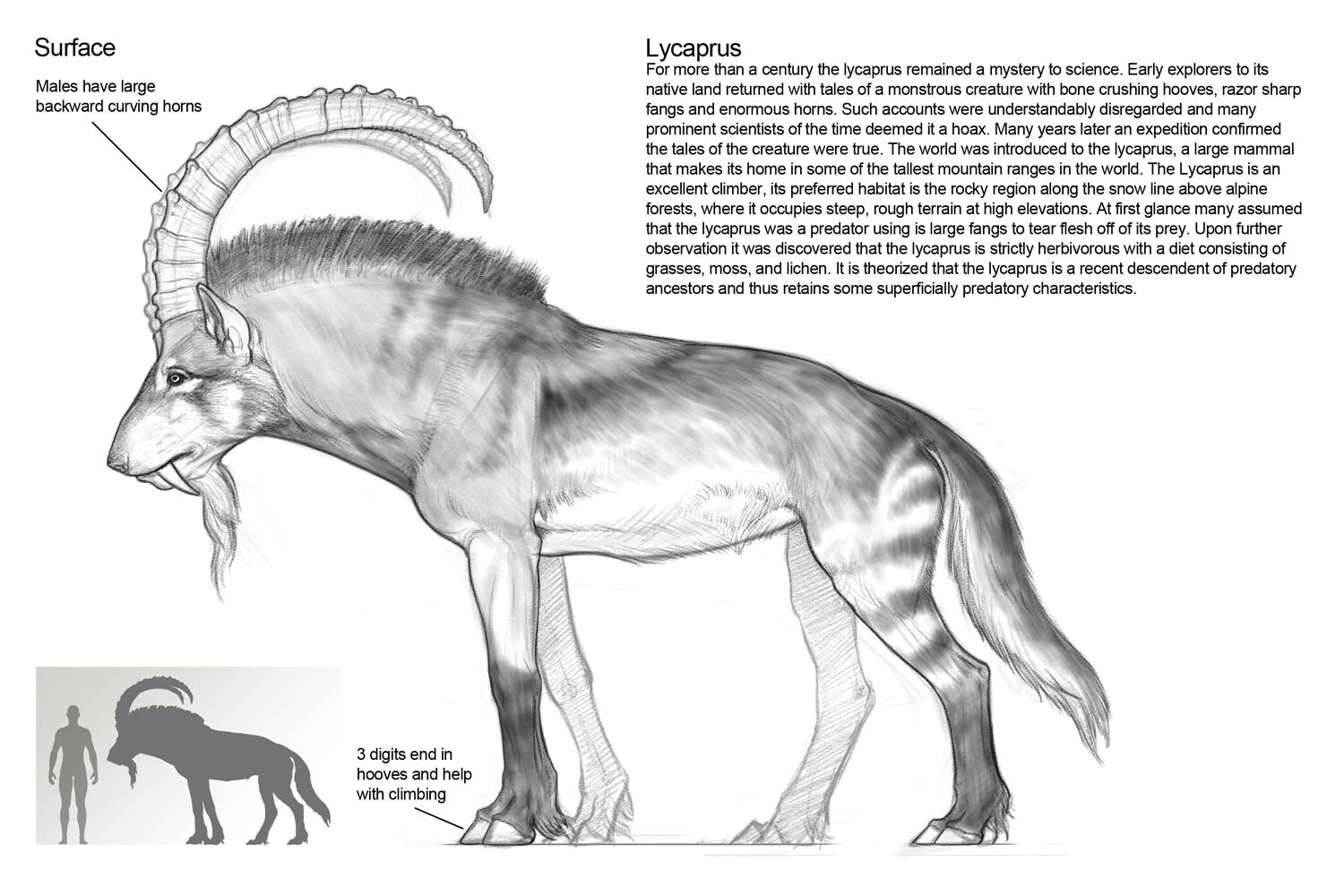 ArtStation - Creature Anatomy 5