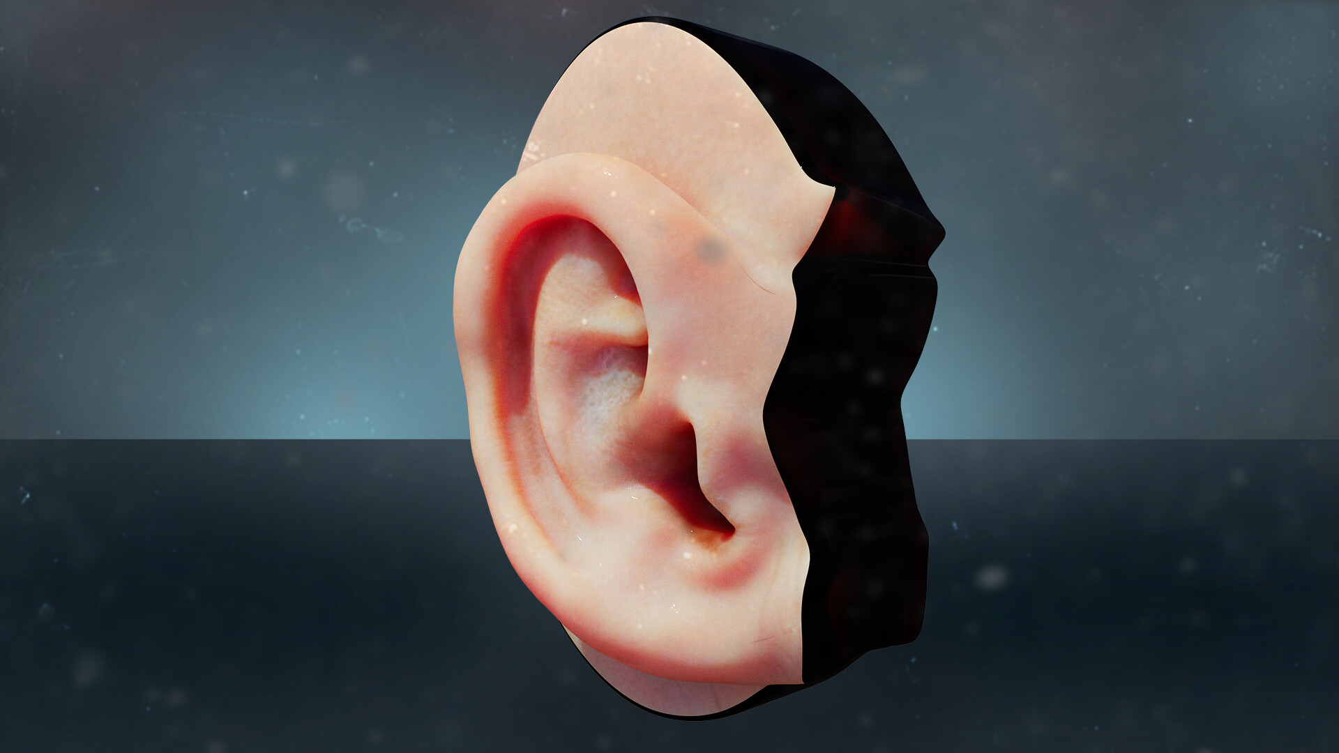 ArtStation - Ear Anatomy - Practice