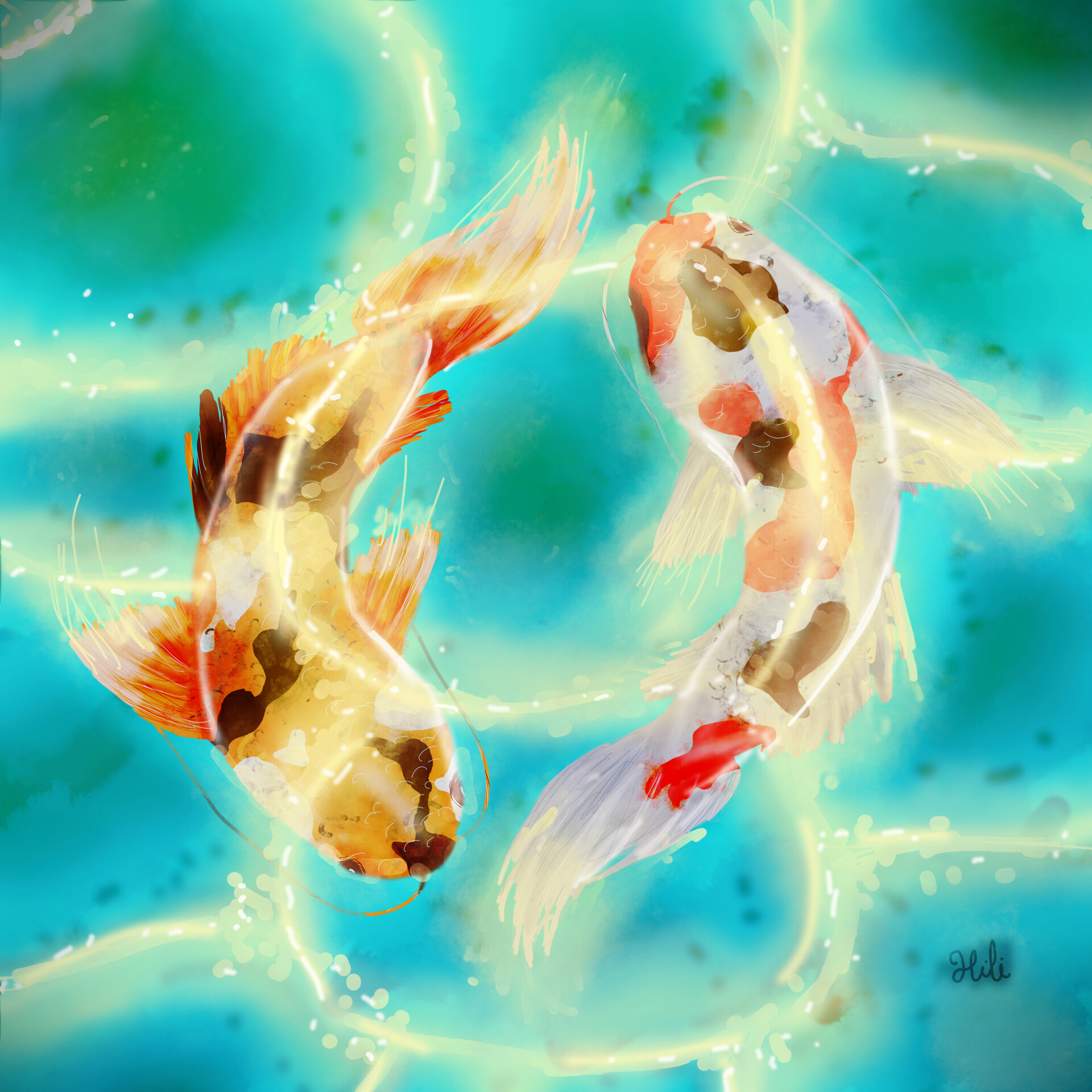 Hilimation - Coy Fish Drawing