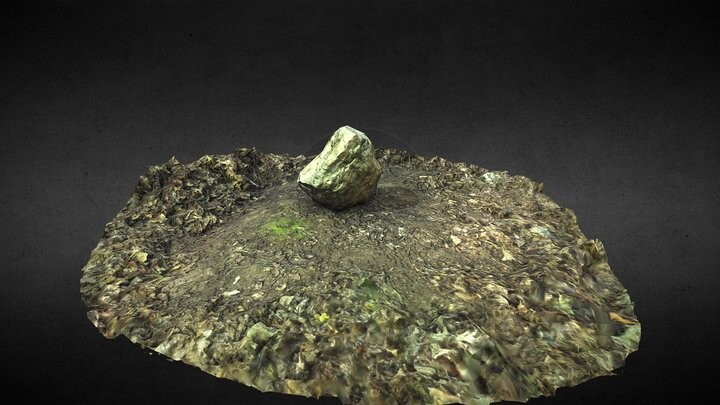 Jacob Tyner - RealityCapture Enviornment