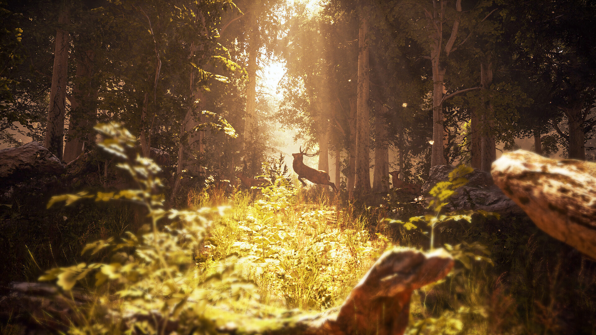 ArtStation - Palatinate Forest in VR