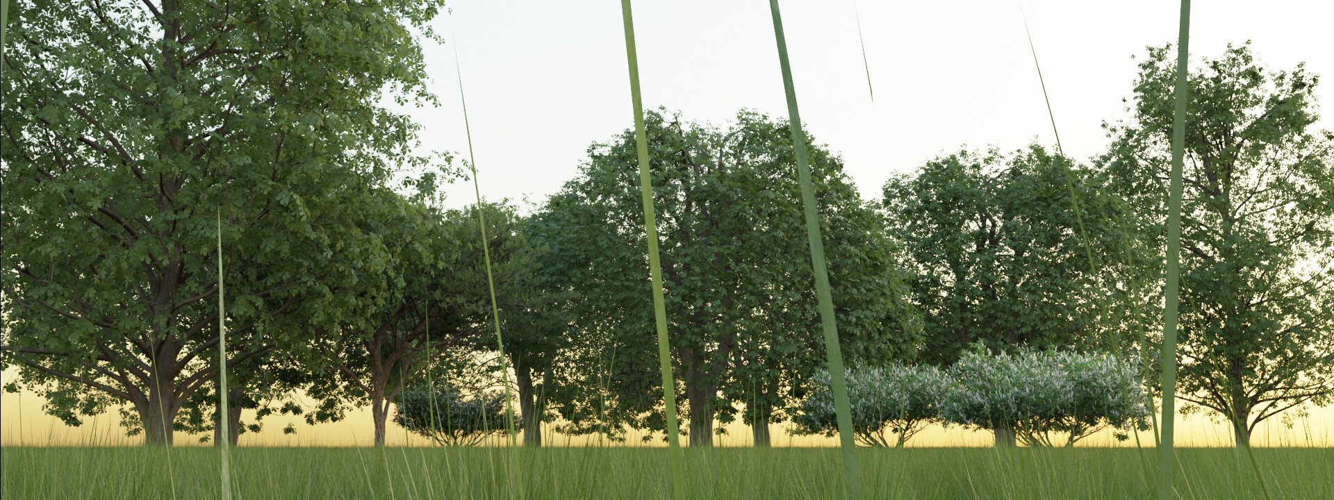 ArtStation - 3D Tree scenery