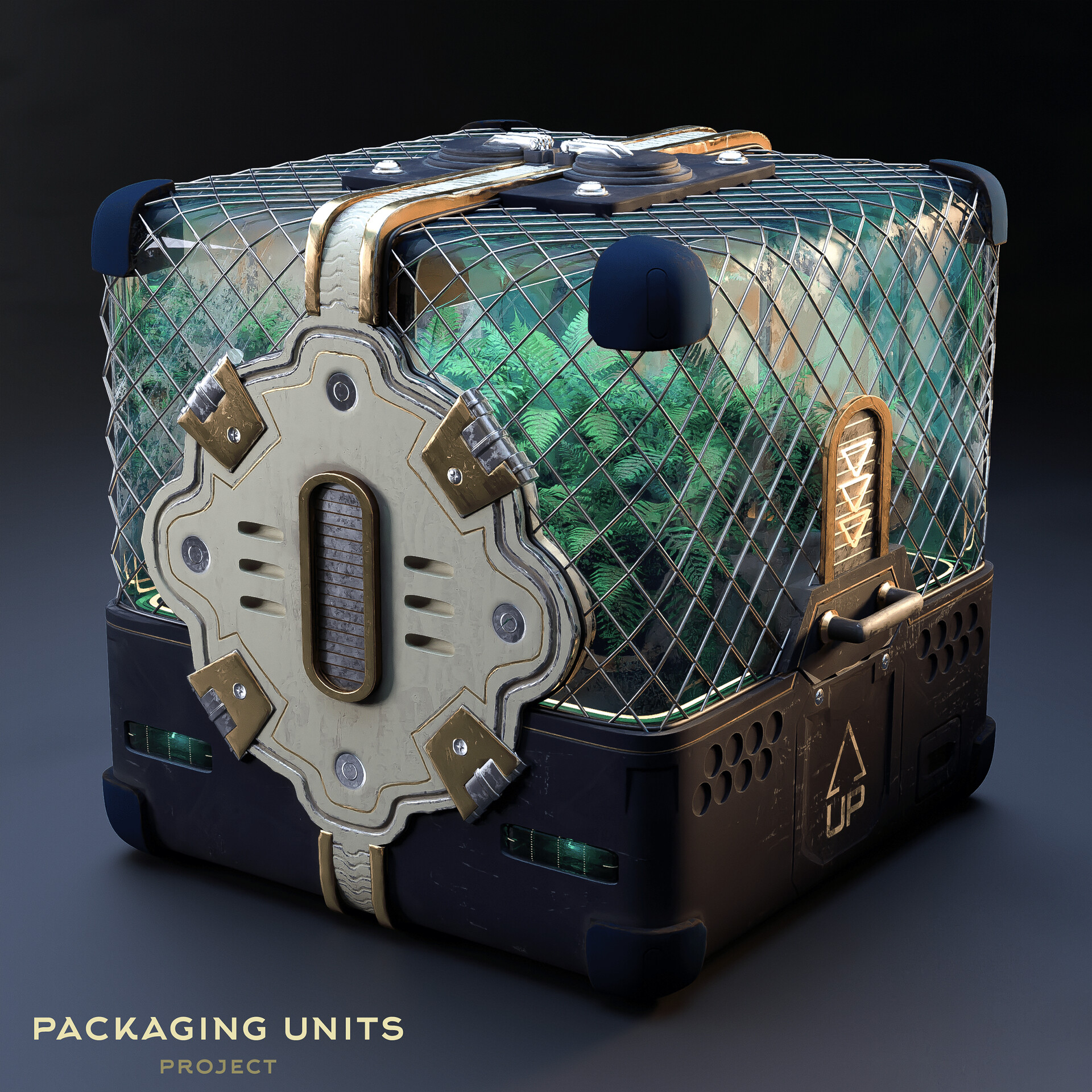 ArtStation - Packaging Units Project