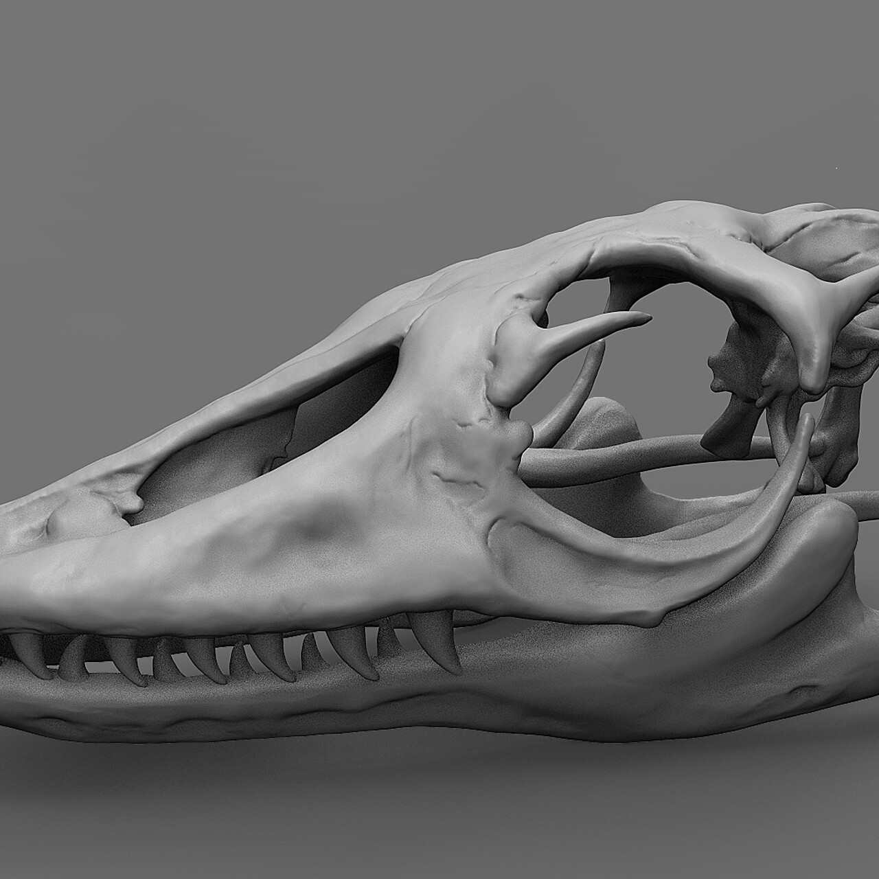 ArtStation - 3d Skull Of Lizard