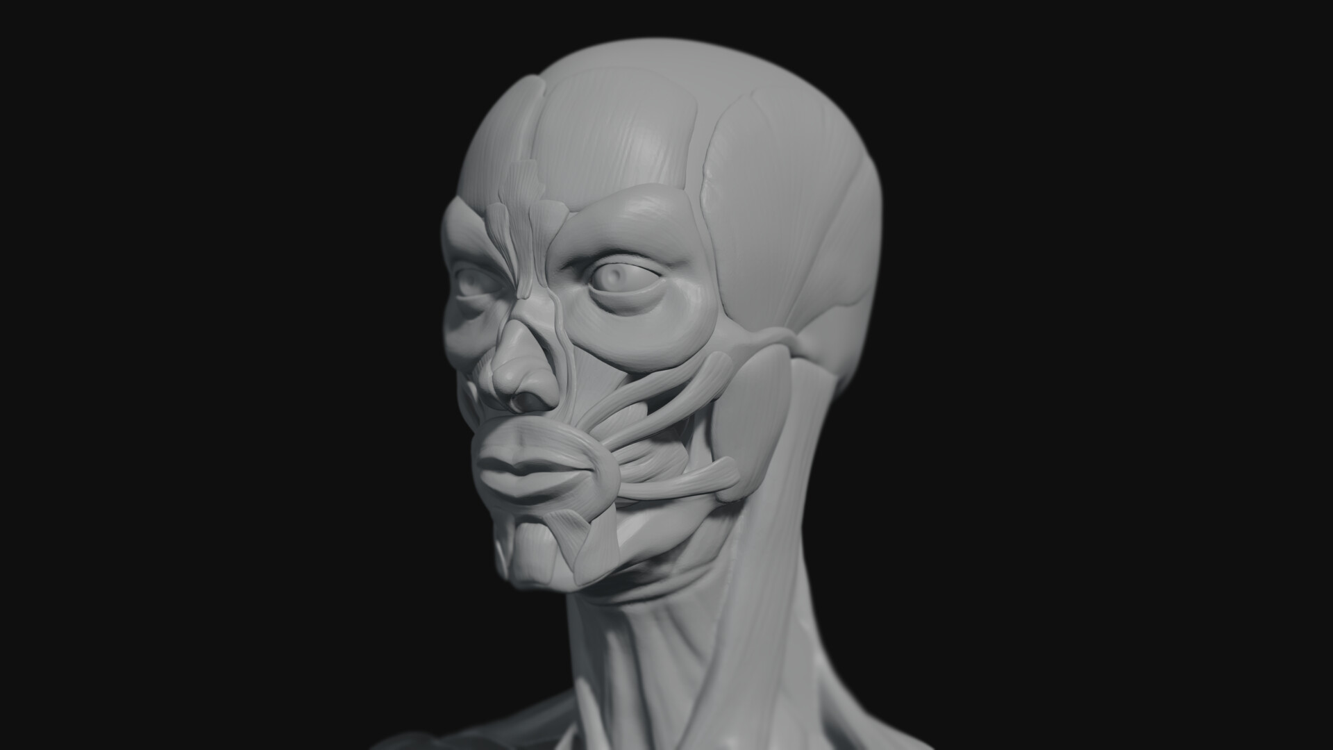 ArtStation - Anatomy Study Sculpt