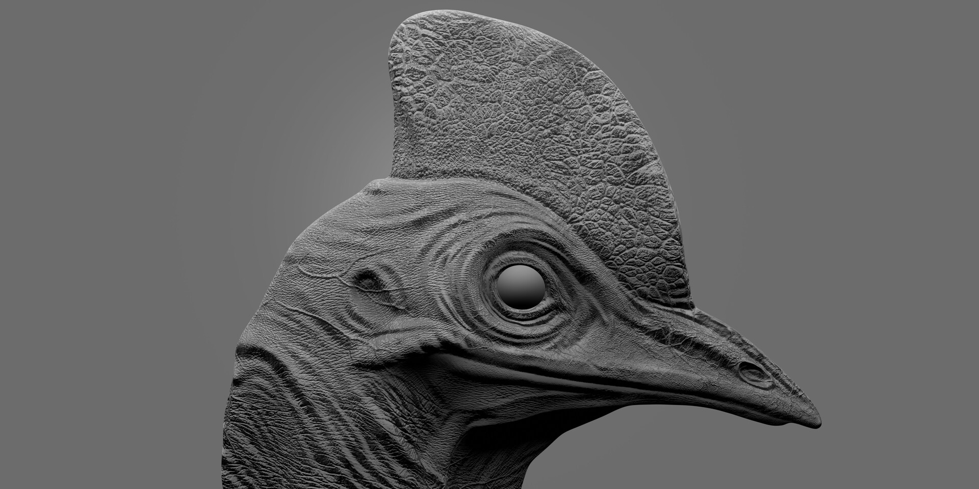 ArtStation - Cassowary