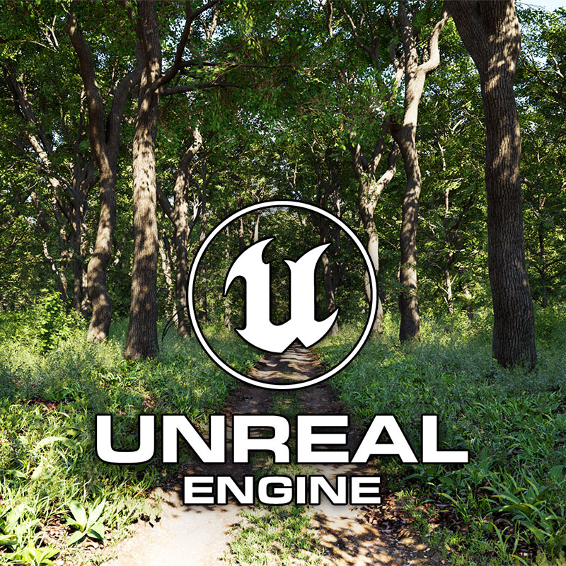 ArtStation - Big Forest Pack 2.0 - Trees - Nanite UE5.1