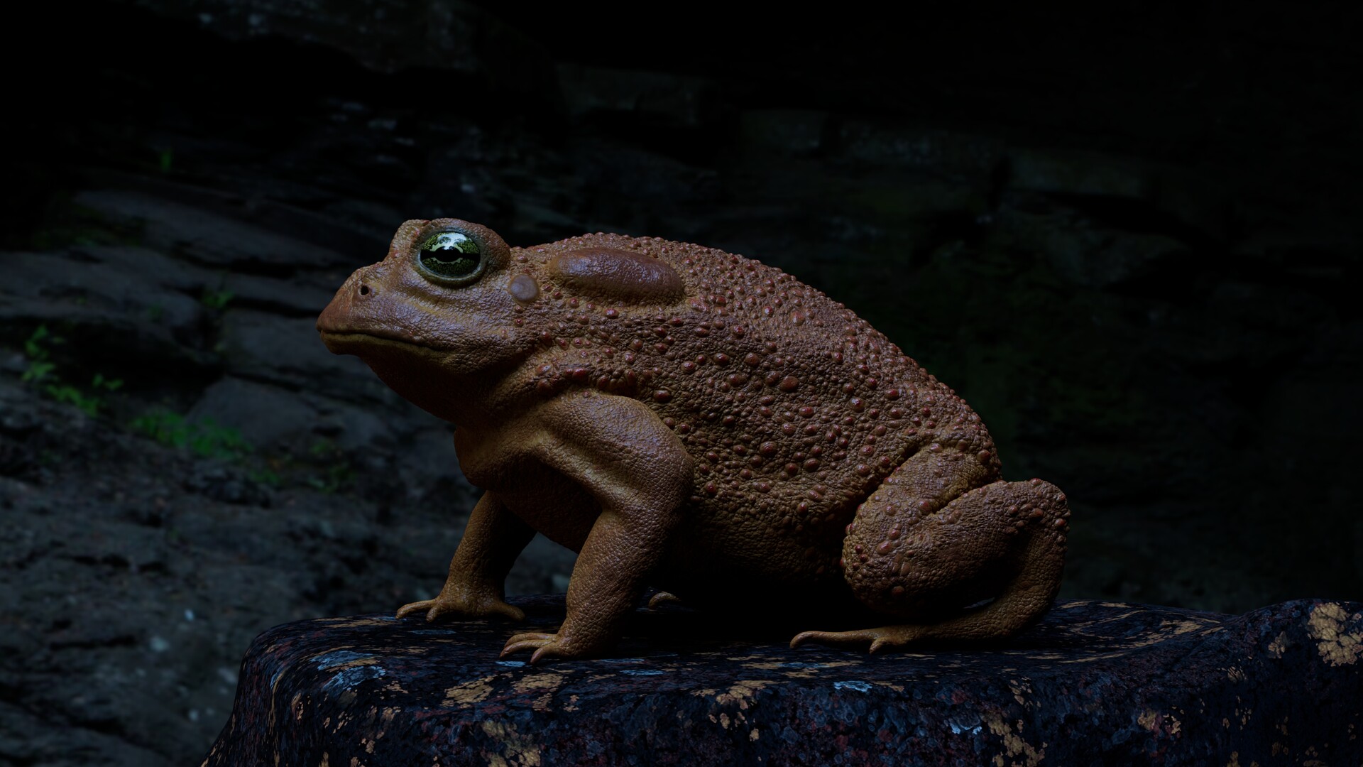 ArtStation - Toad