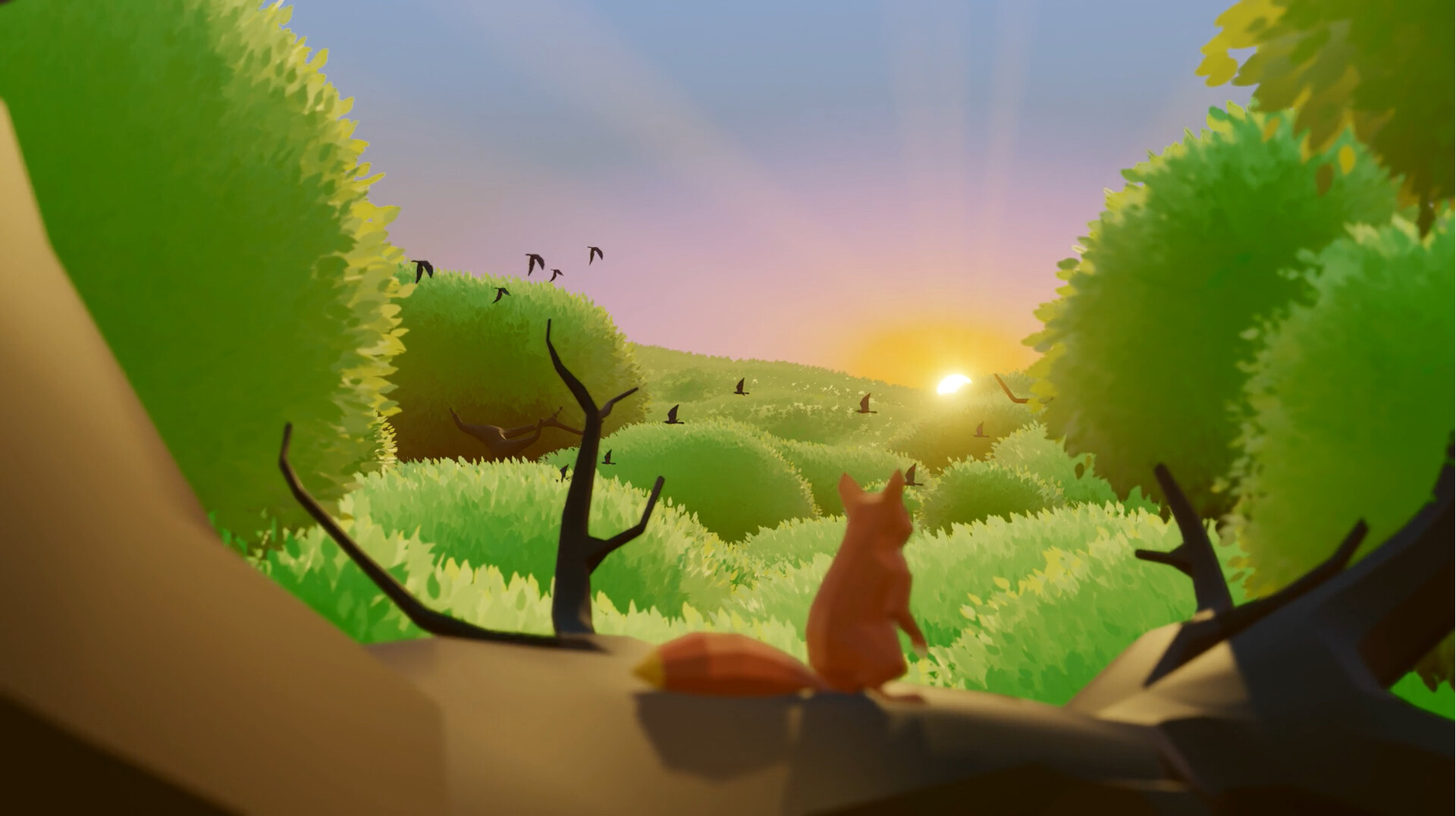 ArtStation - Squirrel In The Forest Animation