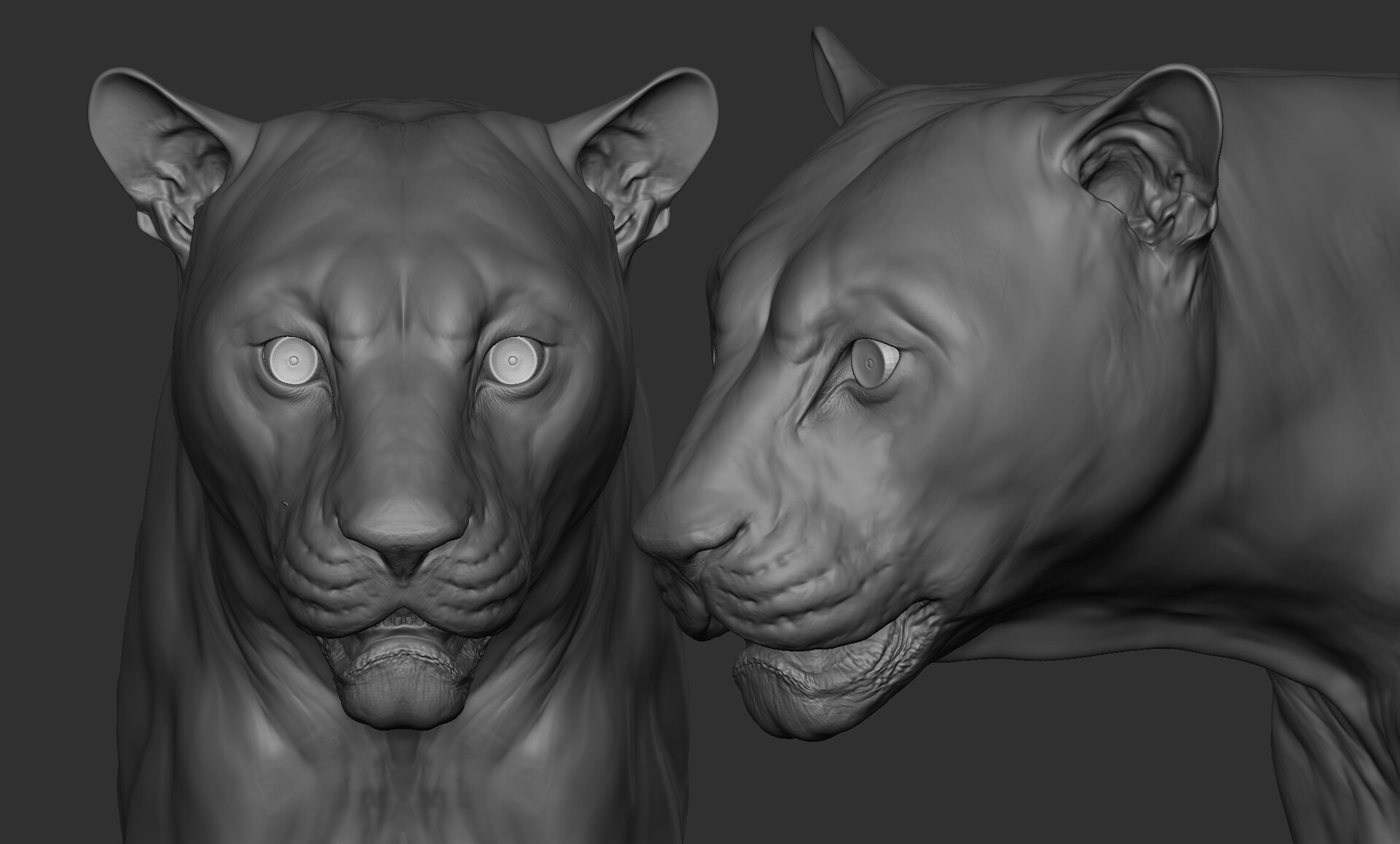 ArtStation - Leopard