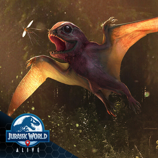 ArtStation - JWA Anurognathus Splashscreen
