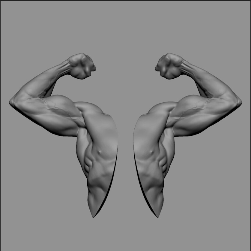 ArtStation - Arm anatomy study💪