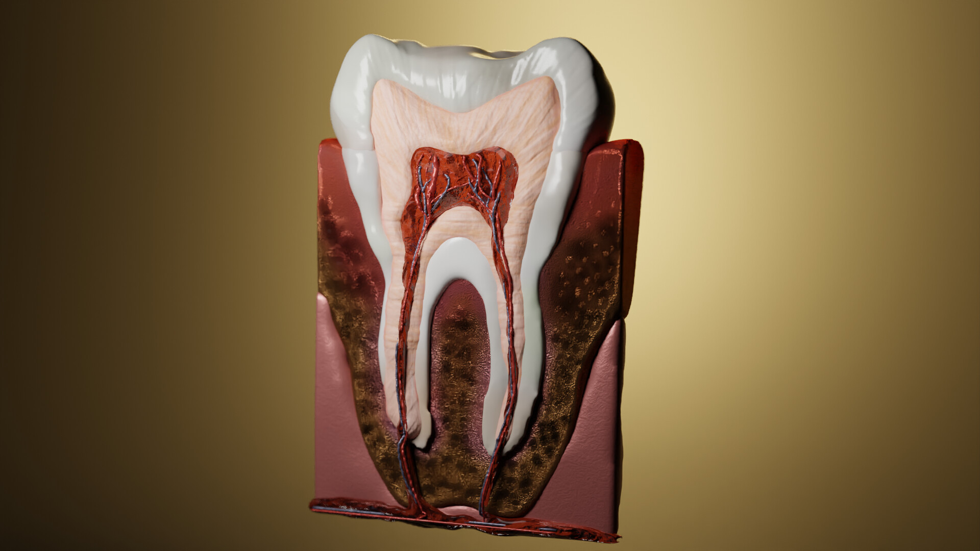 ArtStation - Teeth presentation for a dentist 😁
