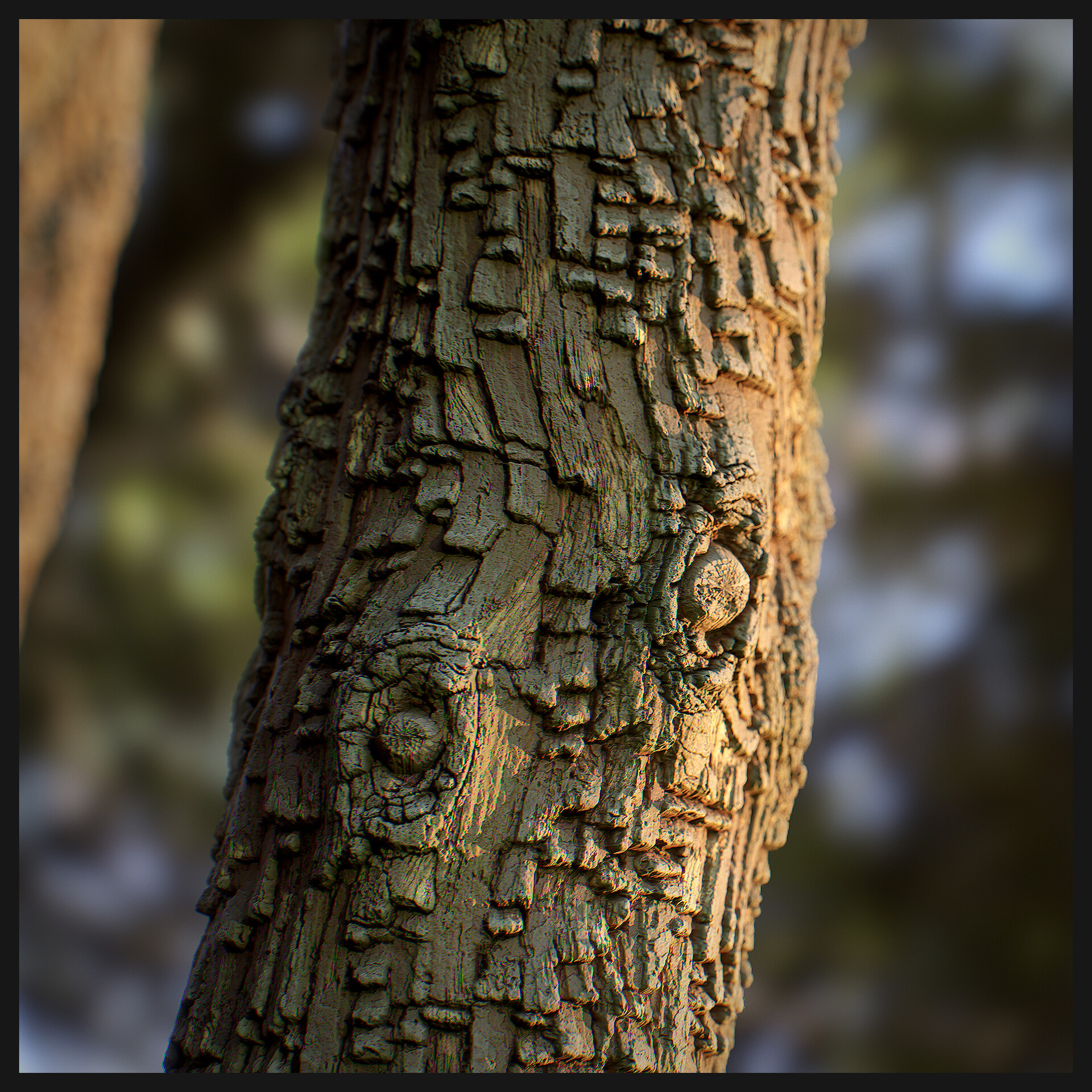 ArtStation - Tree Bark Material