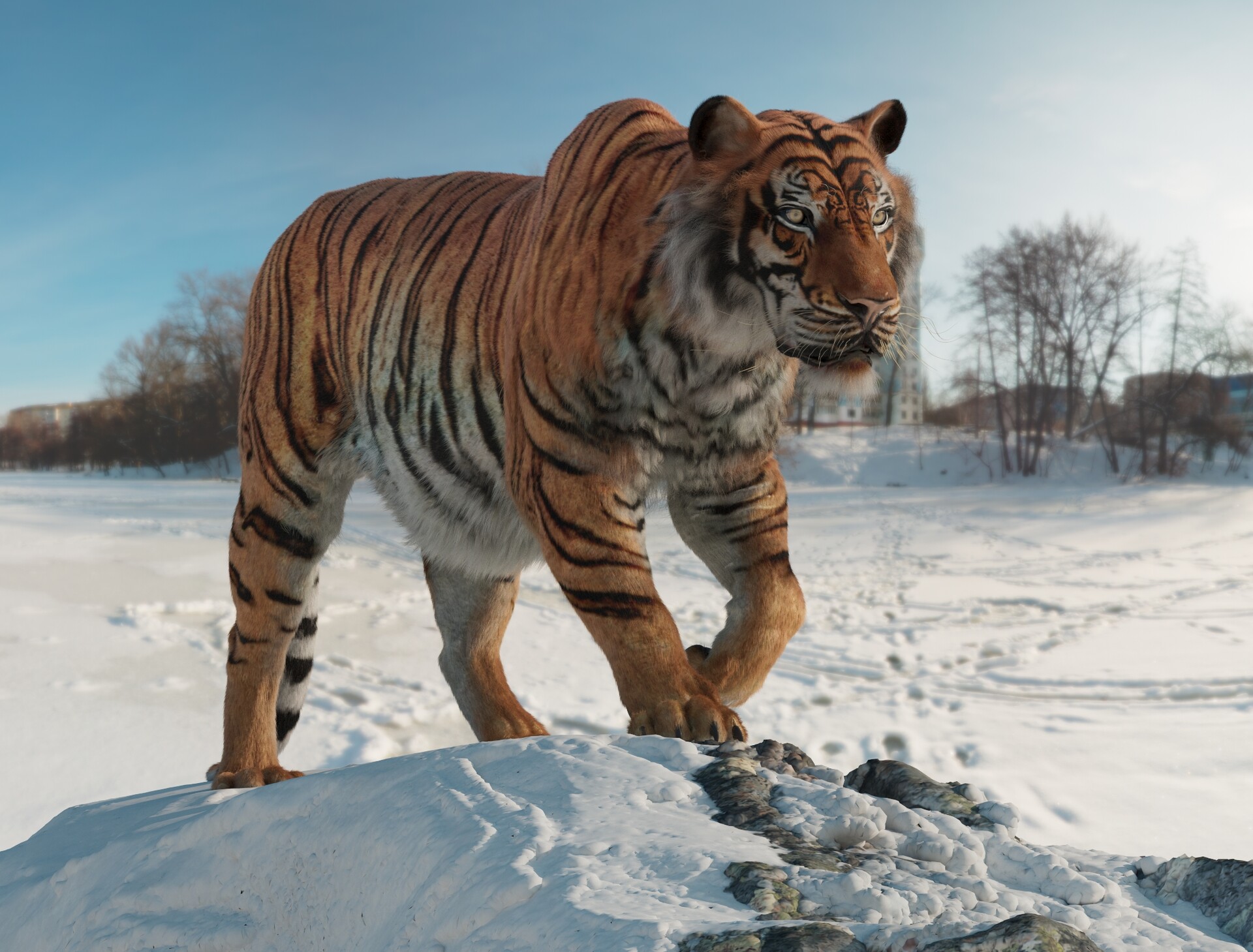 ArtStation - Tiger Houdini Grooming and Muscles