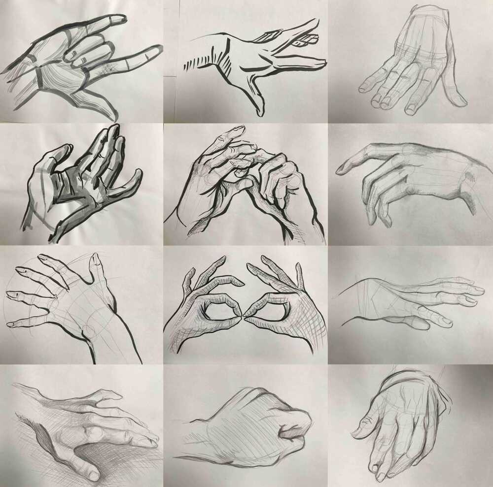 ArtStation - hand anatomy study