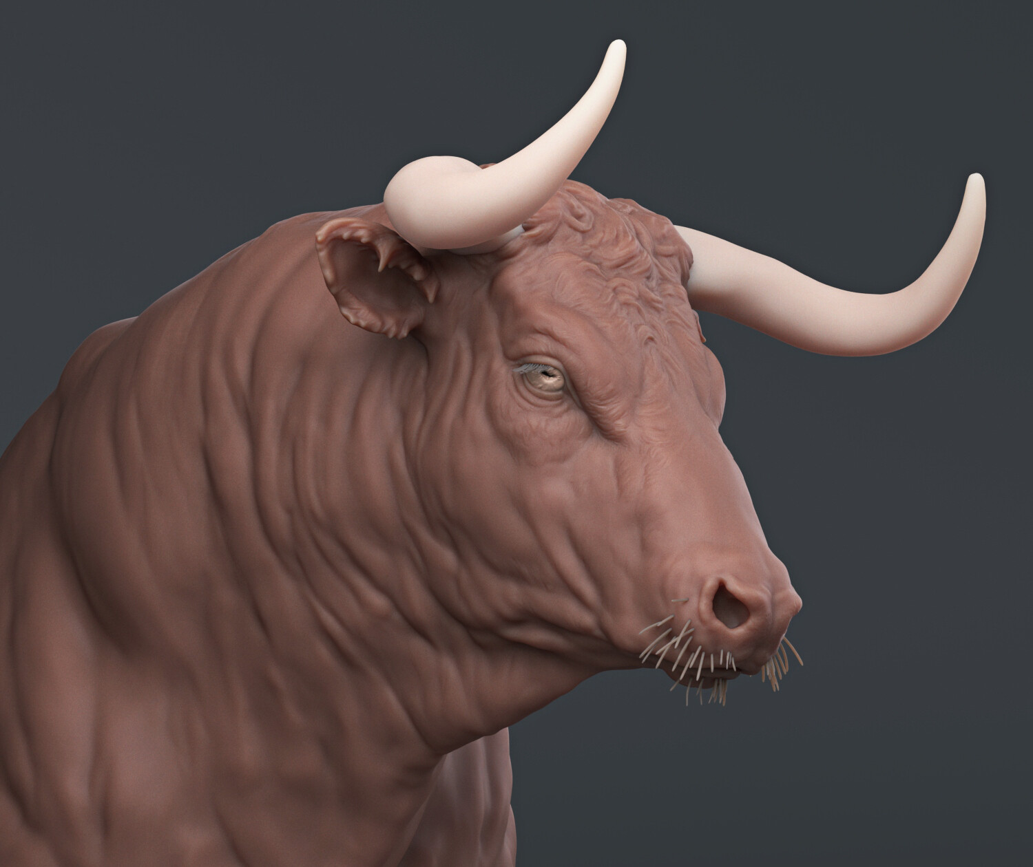 ArtStation - Bull study