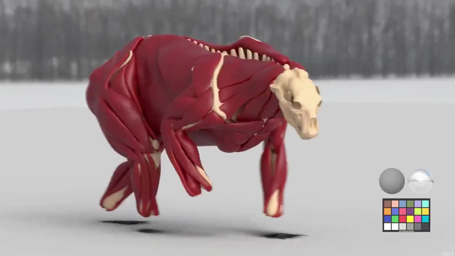 ArtStation - Bear - Ziva Dynamics Workshop Muscle Simulation