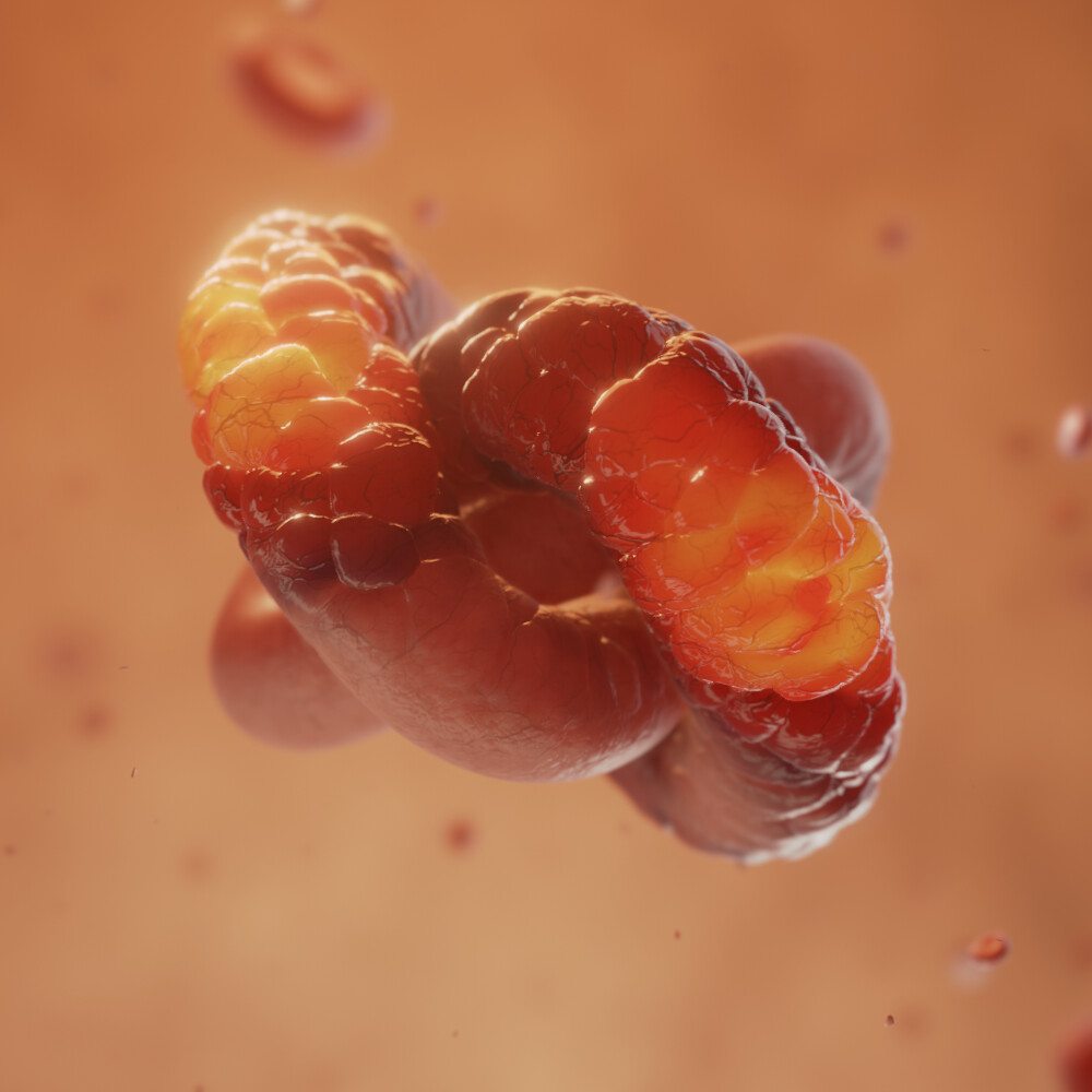 ArtStation - Organic transformation macro animation (Blender)