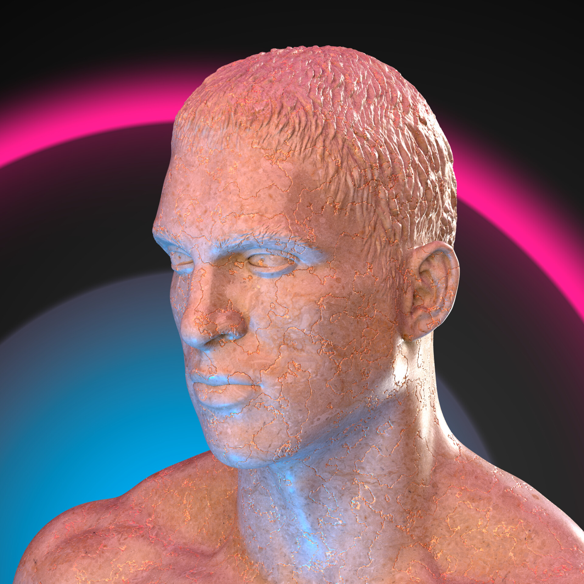 ArtStation - Human Anatomy Studies