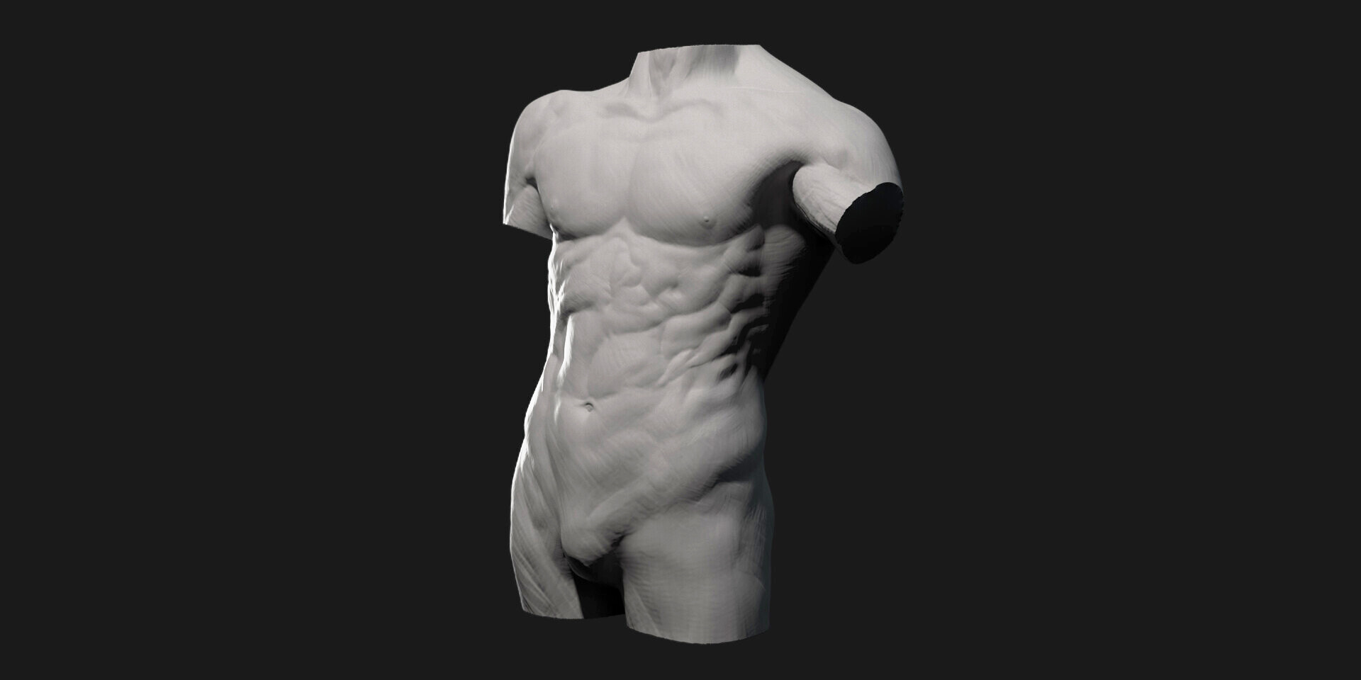 ArtStation - Torso Study