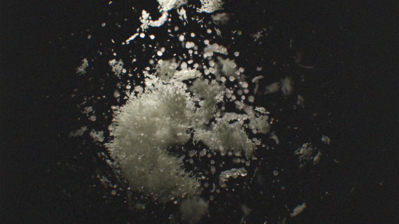 ArtStation - Cell Destruction