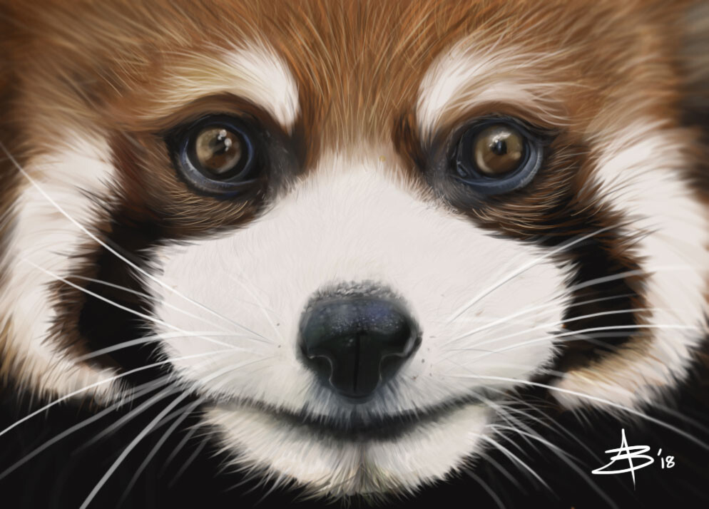 ArtStation - Red Panda